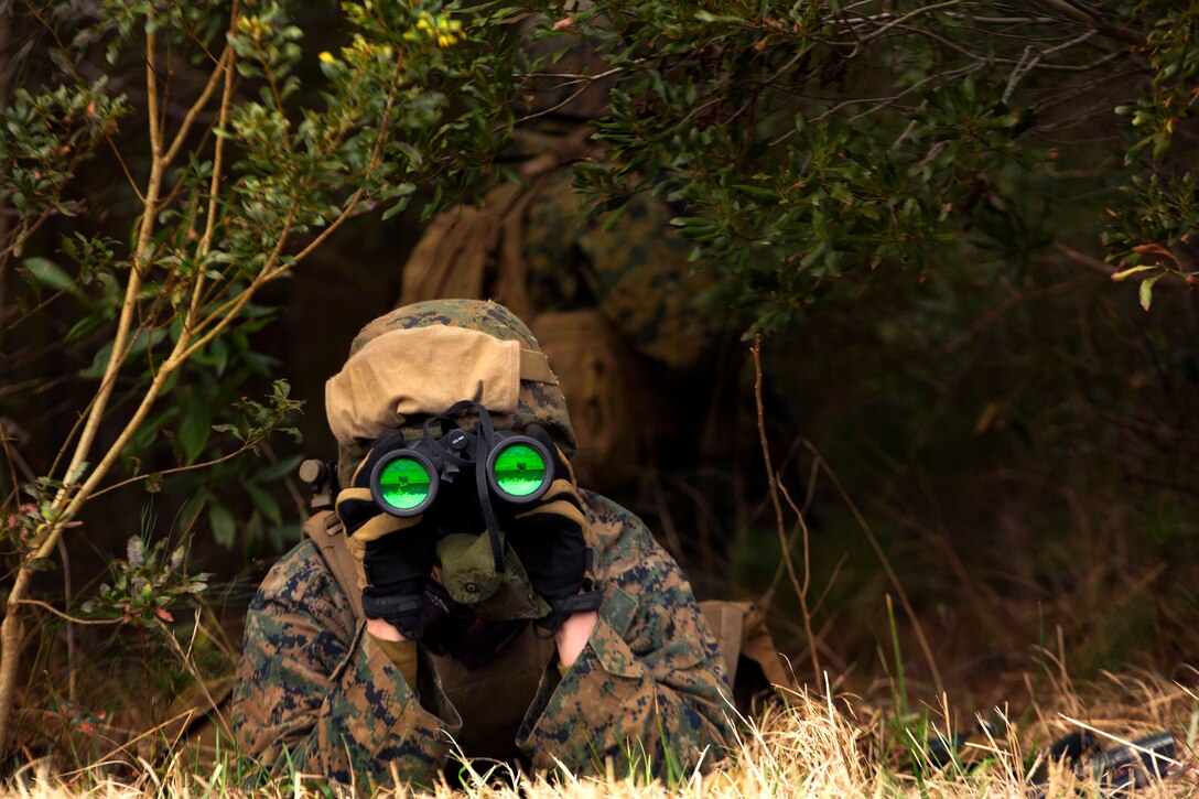 Marine Corps Pfc. Alexander E. Skinner observes a combat patrol through ...