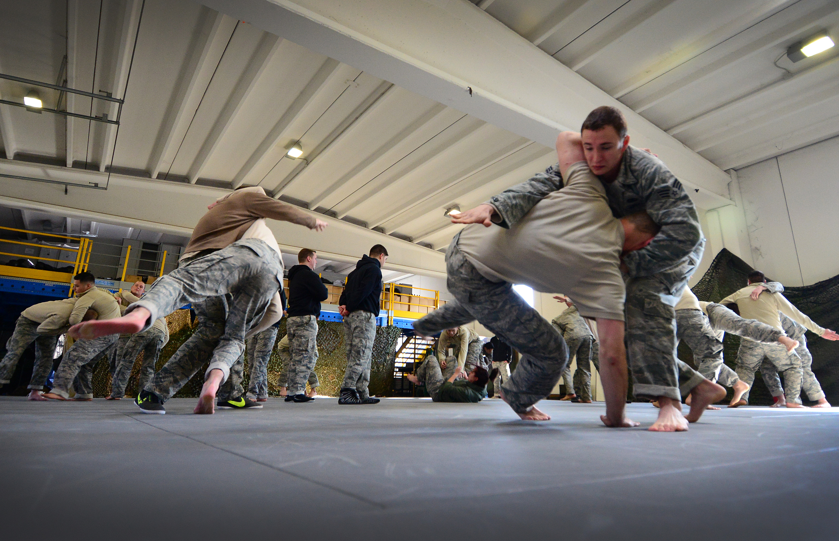 Developing a defender's defenses > Aviano Air Base > Display