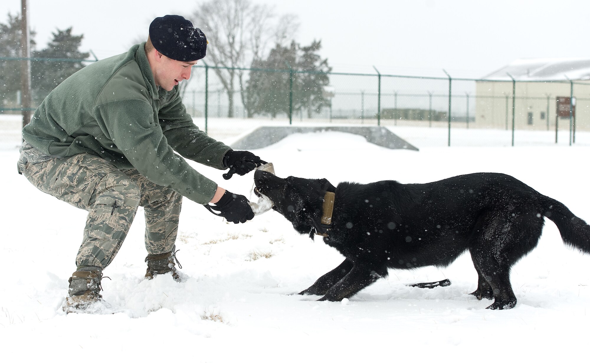 Snapshot: Dog days of winter > Dover Air Force Base > Article Display