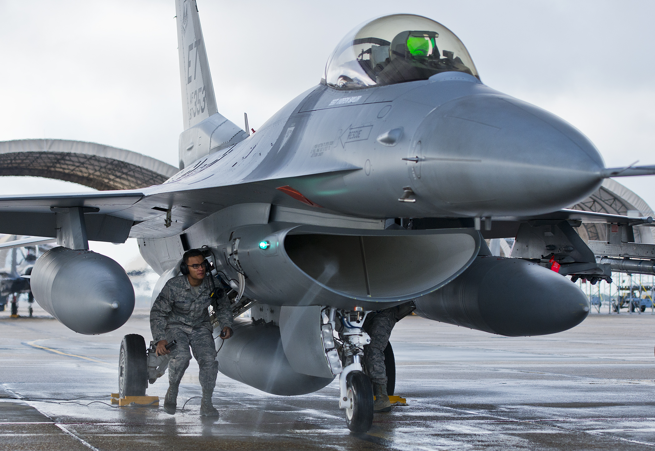 Falcon crew
