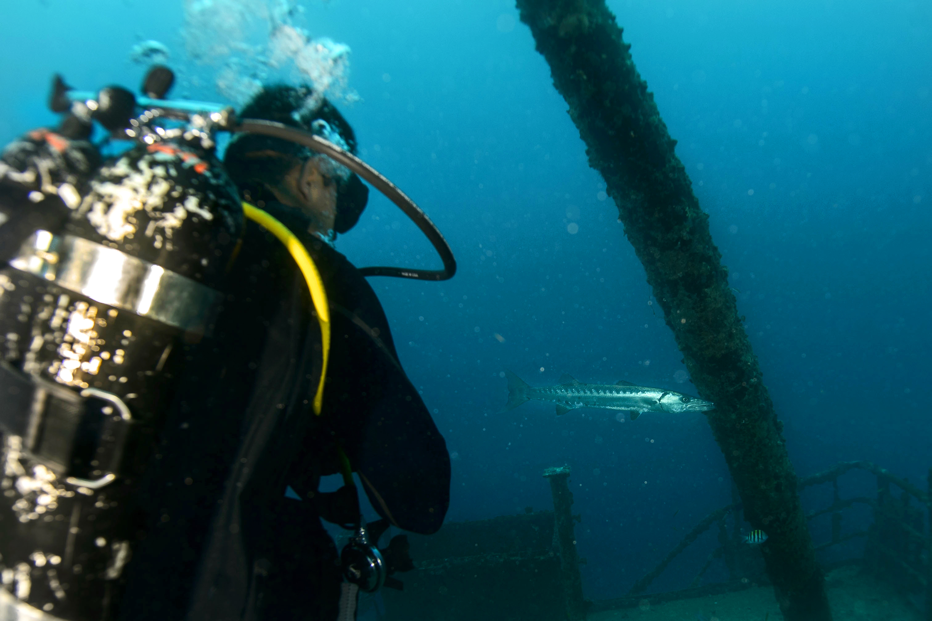 Navy Petty Officer 2nd Class Erick Martin encounters a barracuda while ...