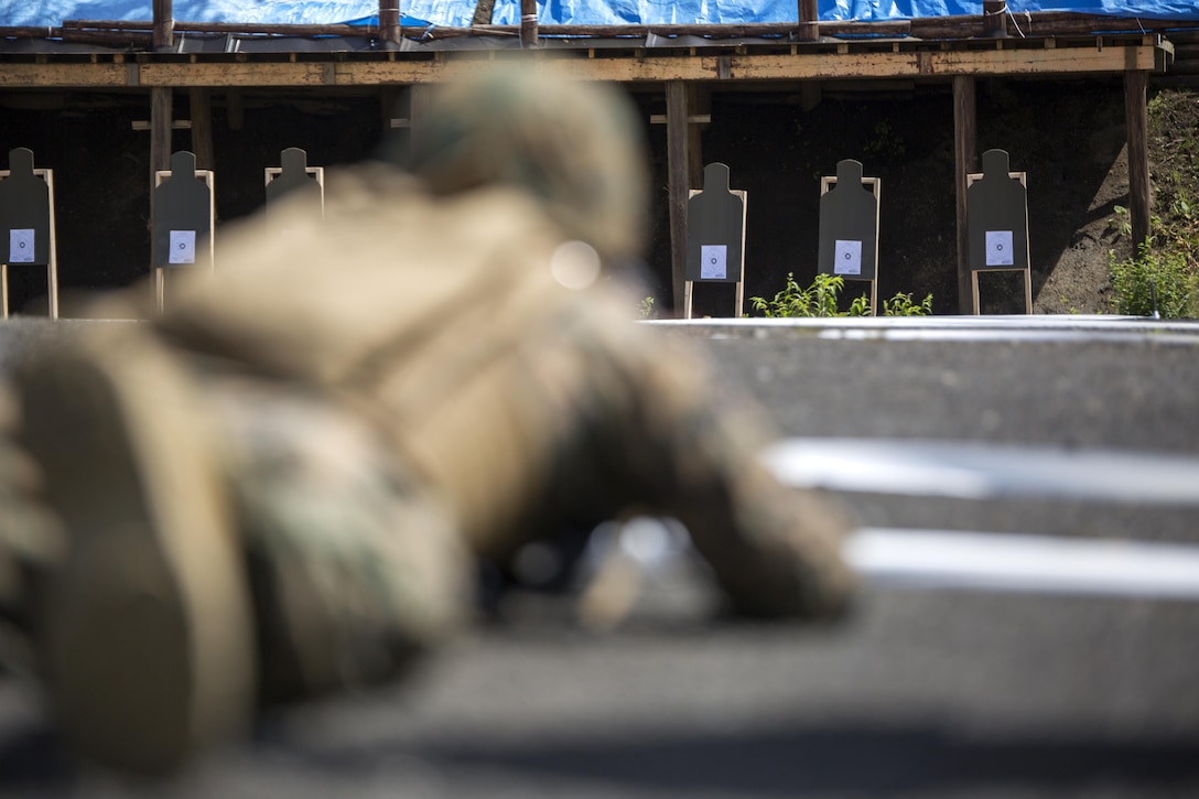CLC-36 Marines grow together during Exercise Dragon Fire 2015