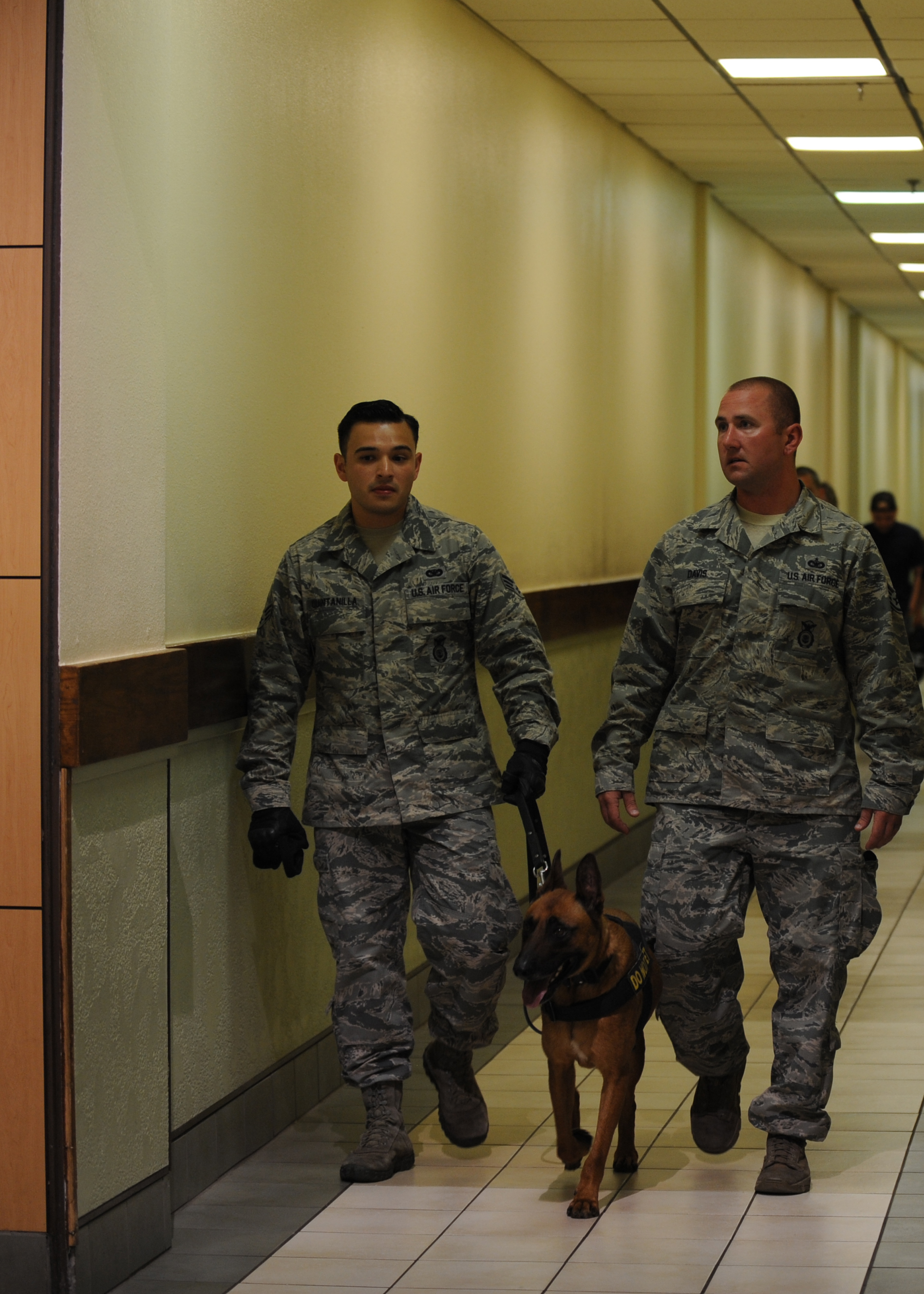 7 SFS K-9 handlers and military working dogs train in local community