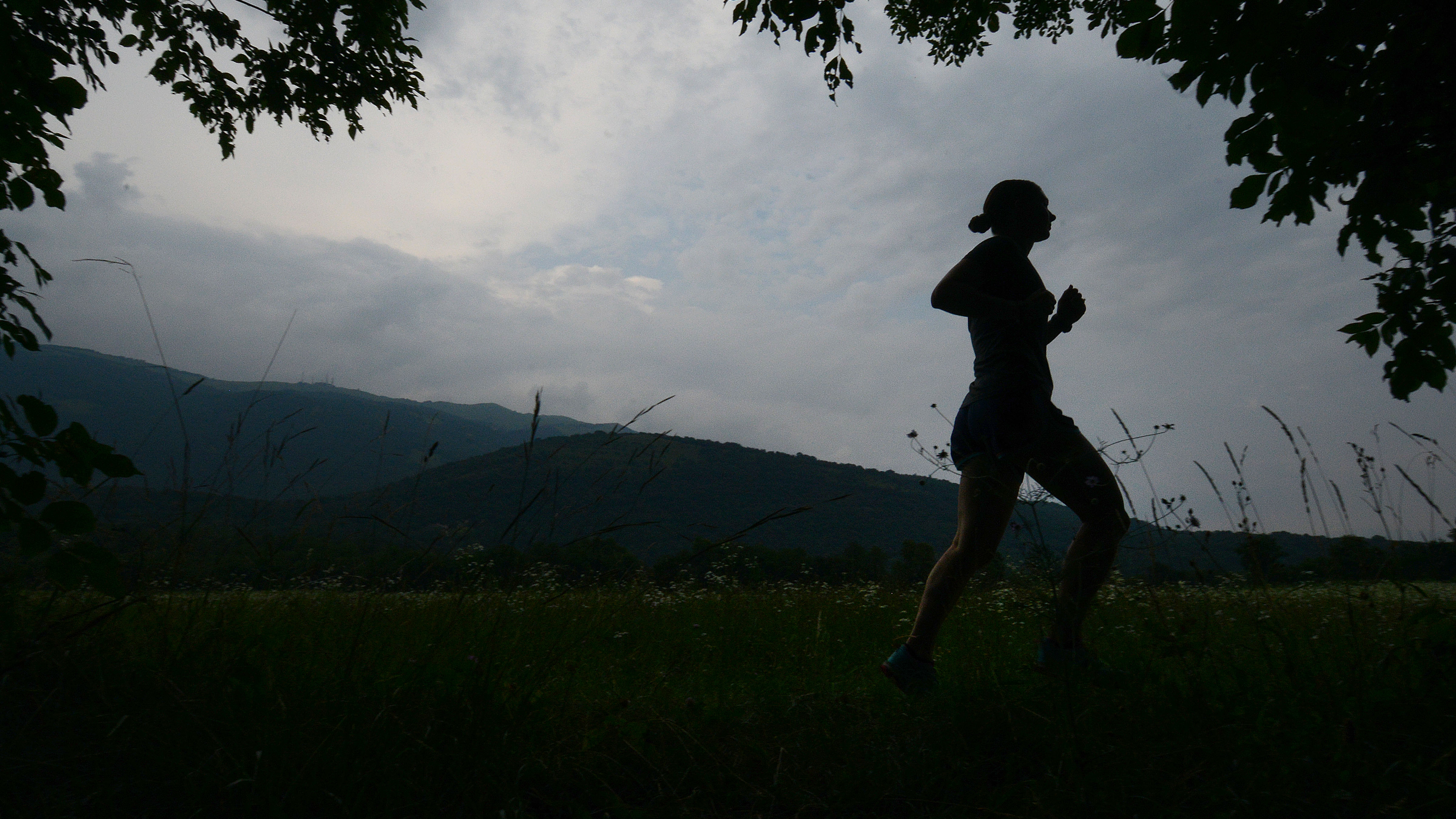Run, Airman, run > Aviano Air Base > Display