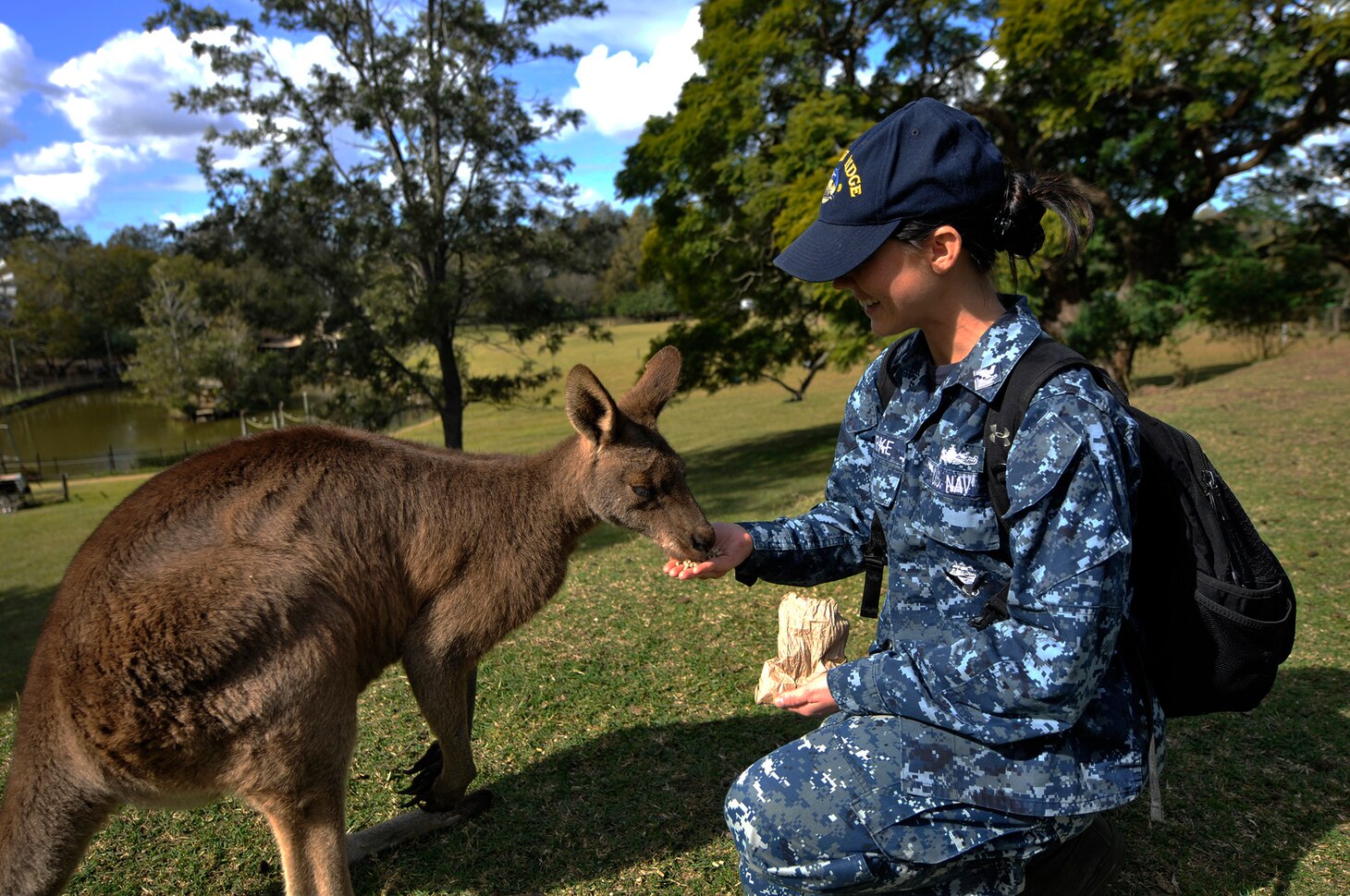 Blue Ridge Sailors Aid Koala Sanctuary > United States Navy > News Stories