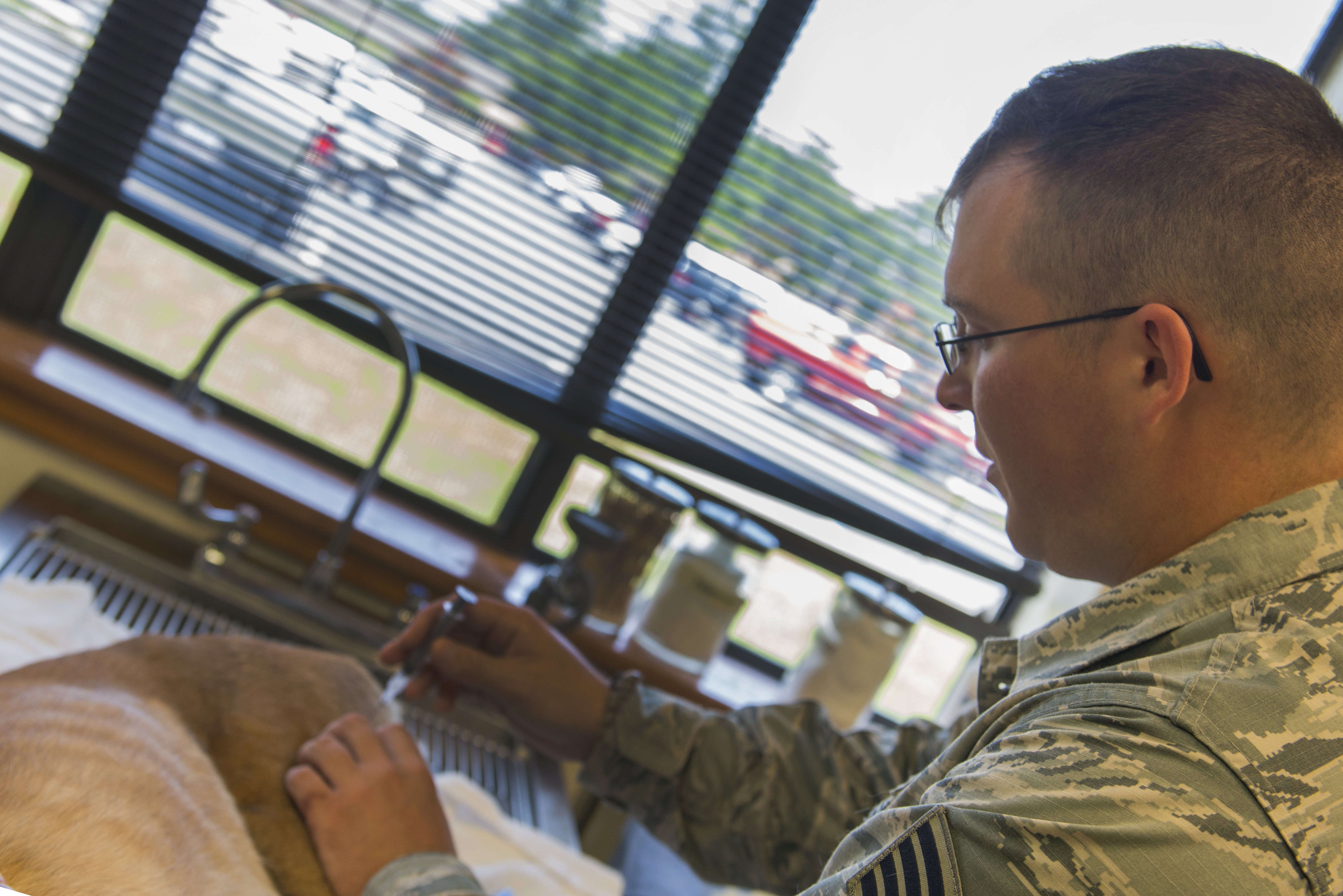 Vet clinic supports MWD program with care, training > Moody Air Force ...