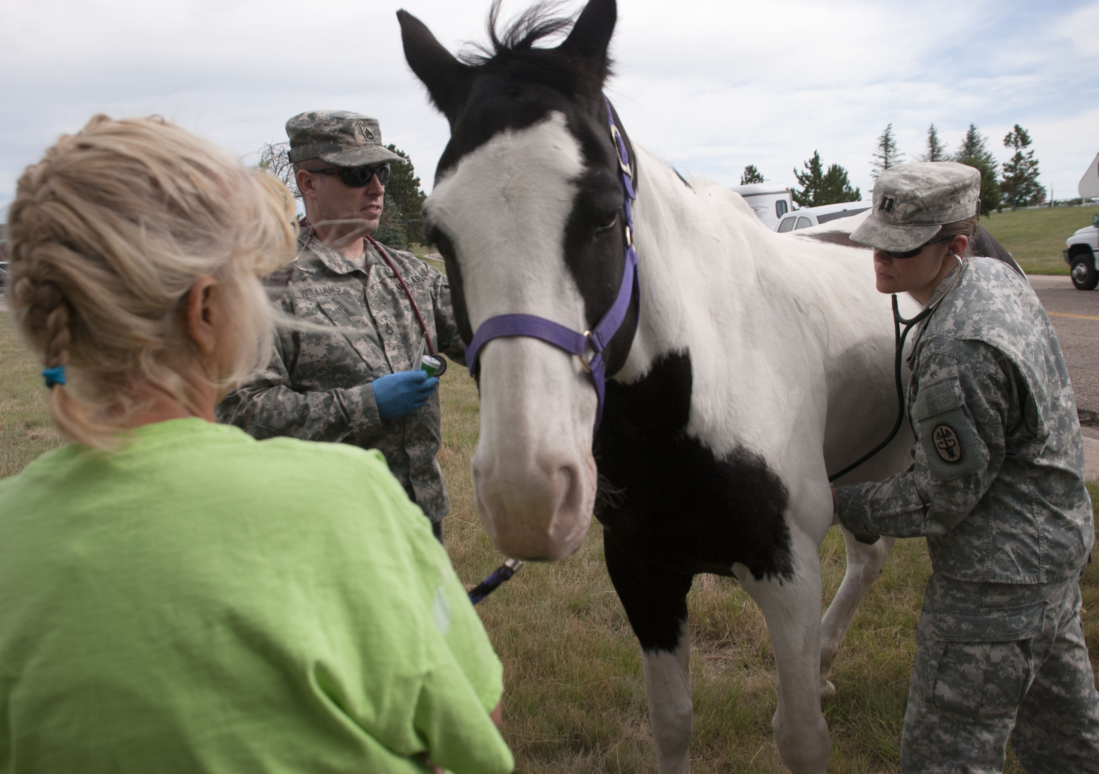 Warren veterinarian examines horses > F.E. Warren Air Force Base > News