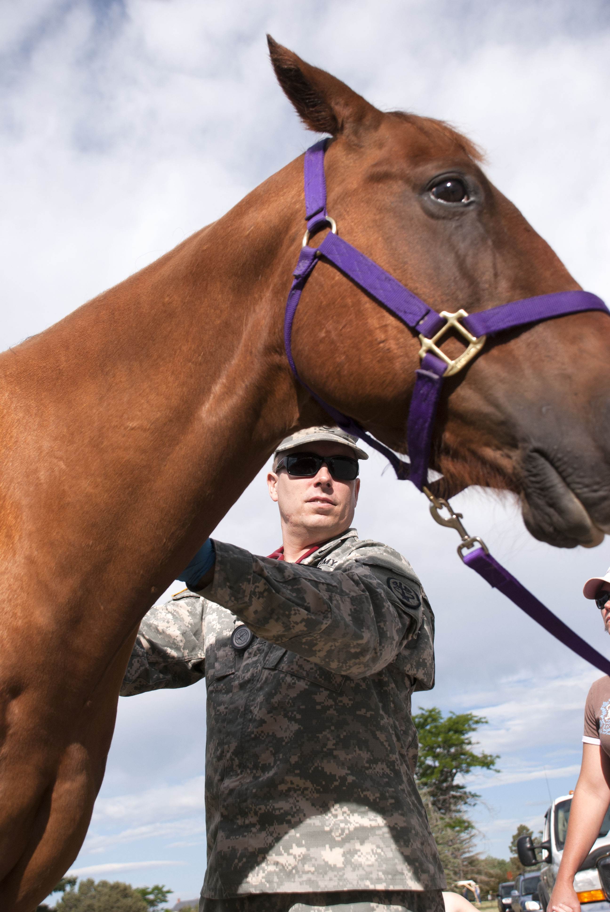 Warren veterinarian examines horses > F.E. Warren Air Force Base > News