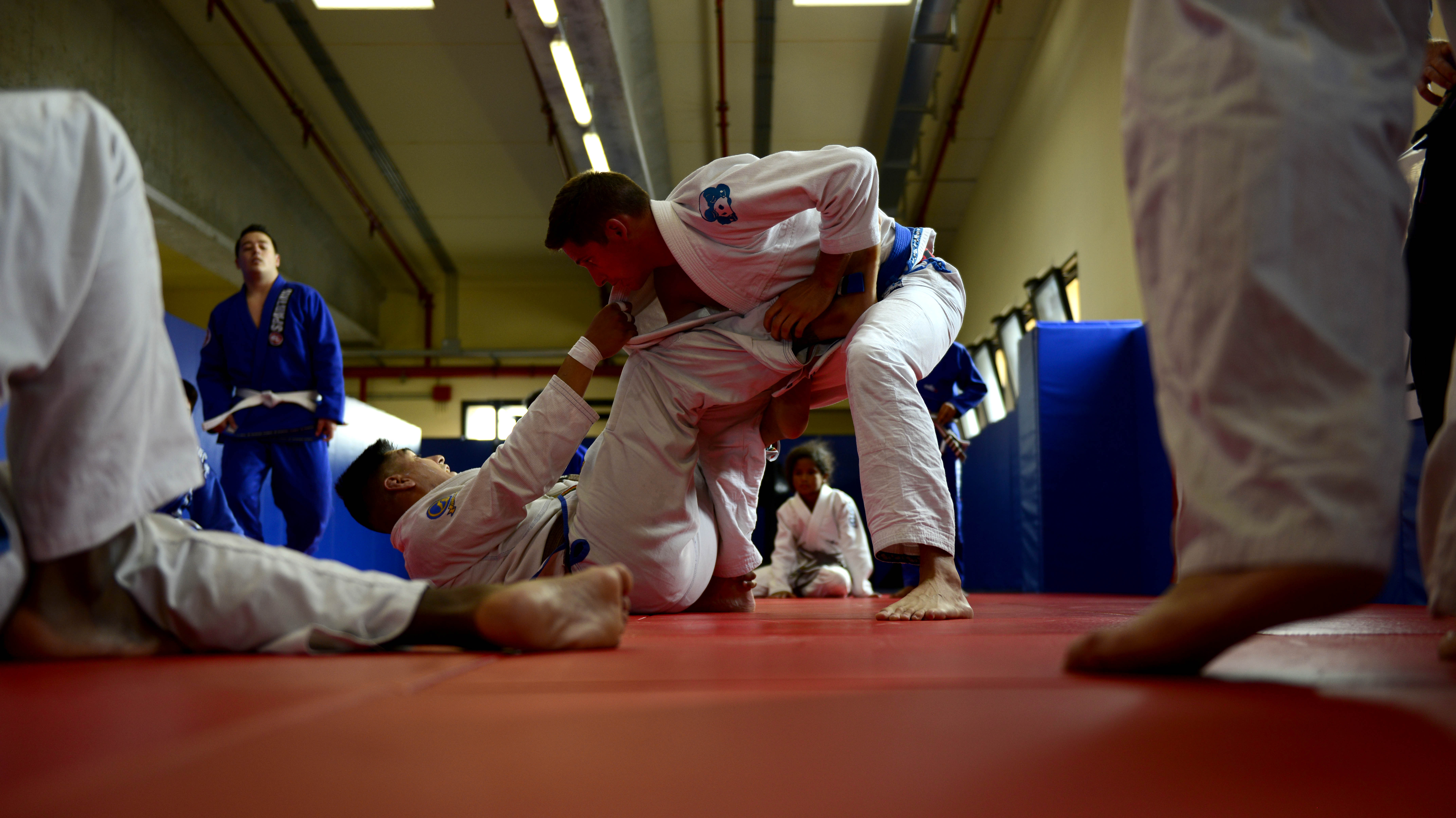 Keep calm, jiu jitsu on