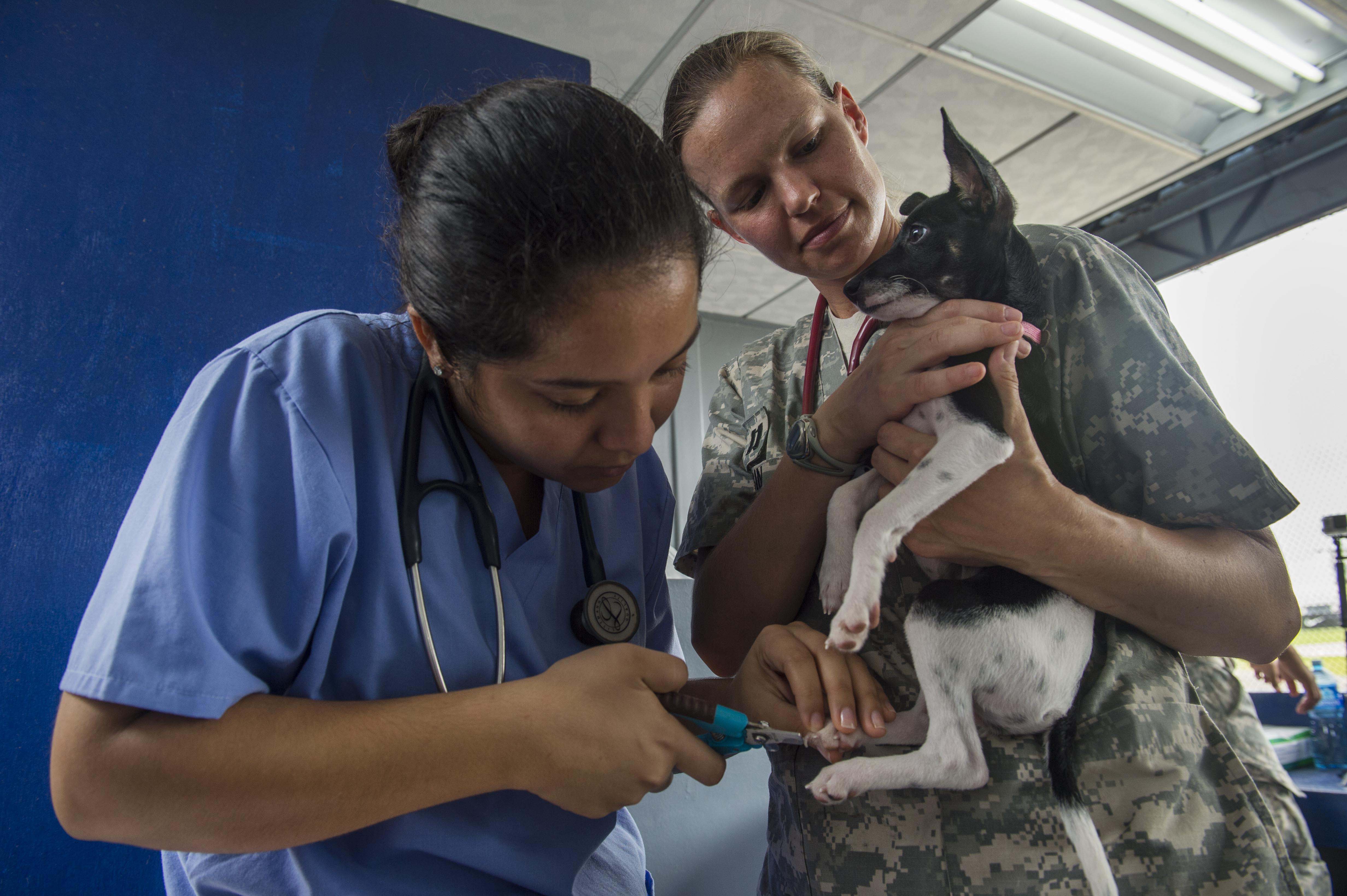 Continuing Promise 2015 Team Departs Panama, Completes Fifth Mission ...