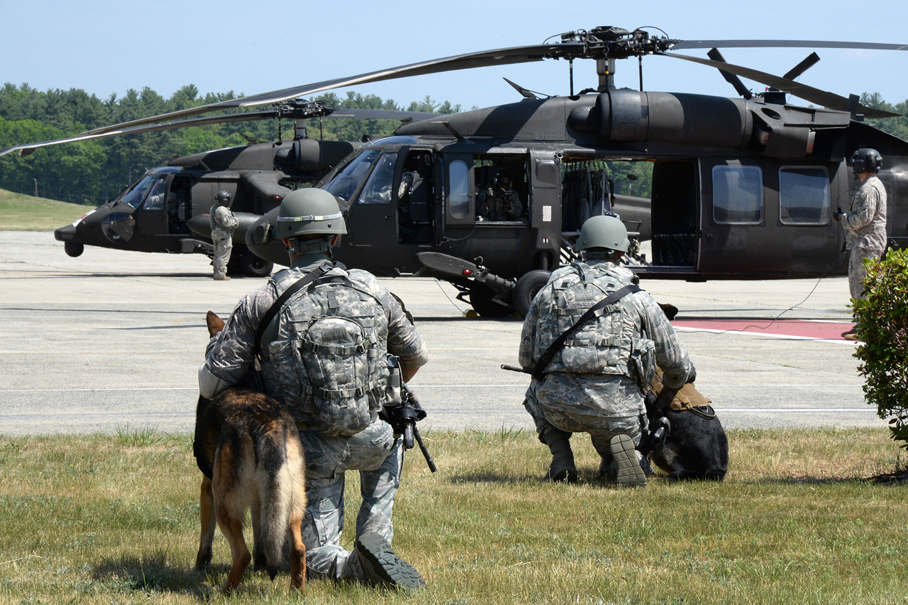 Military Working Dog teams take flight