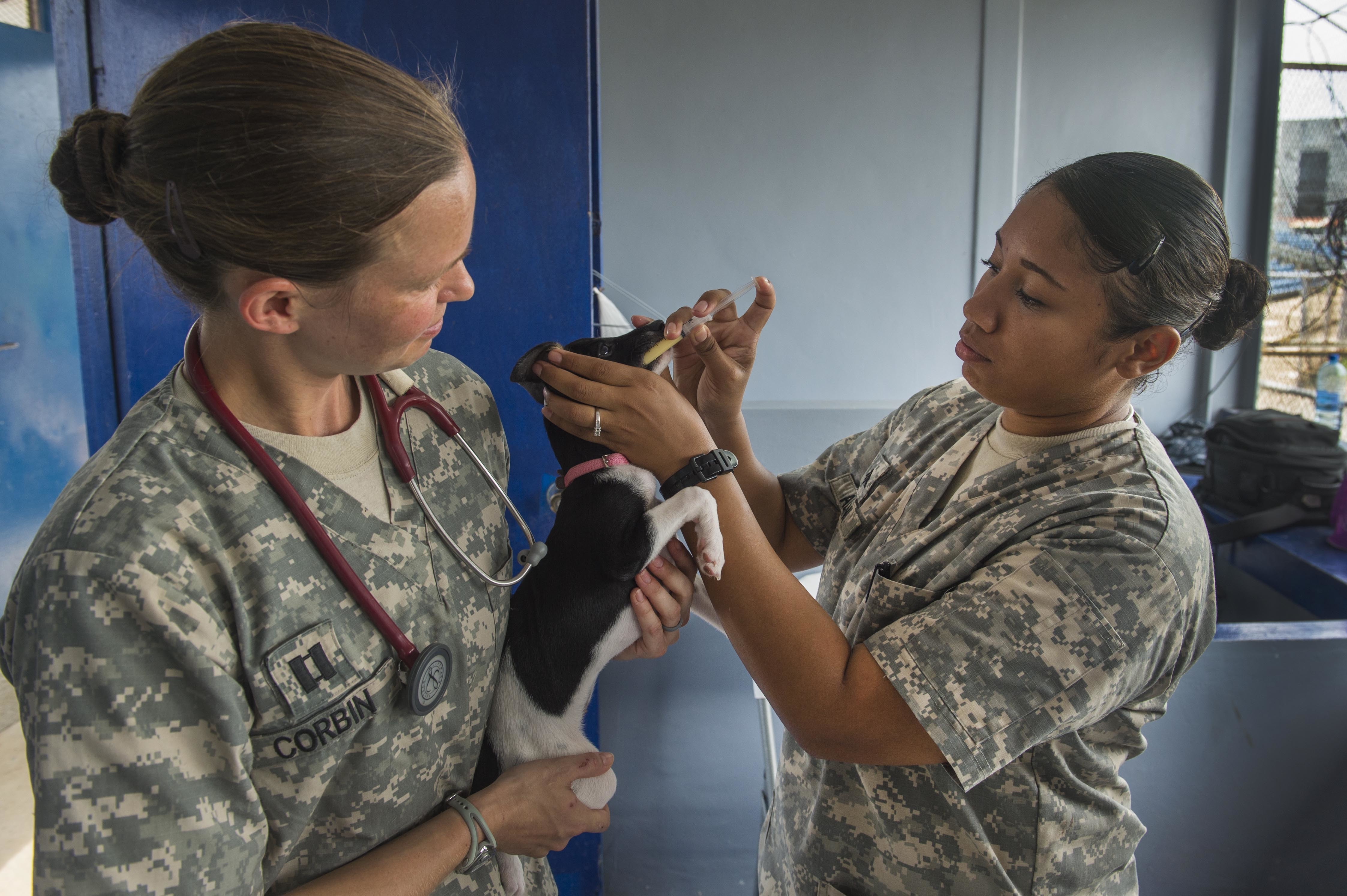 U.S. Army Capt. Emily Corbin, left, and Sgt. Janina Alaniz administer ...