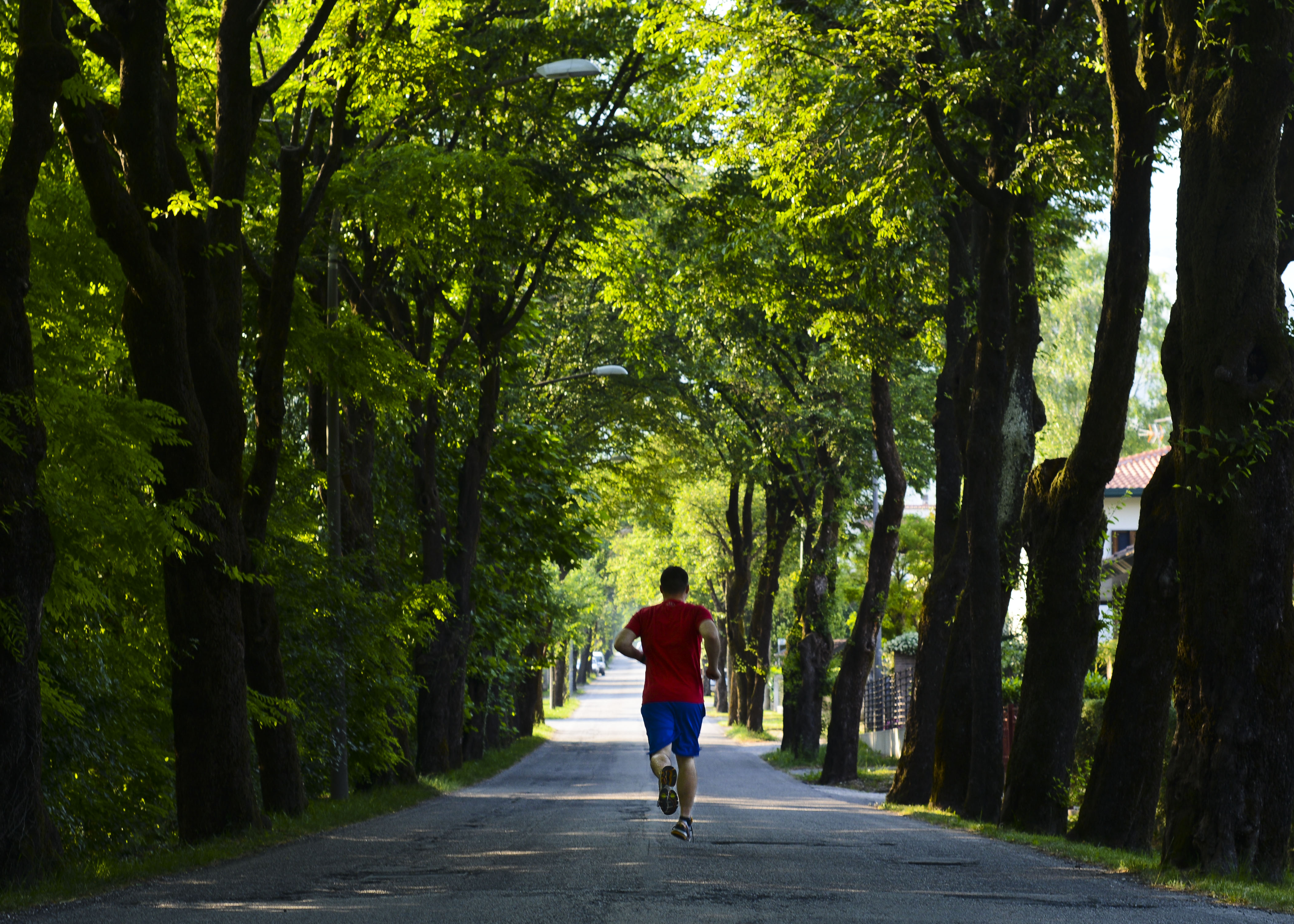 Wyvern workouts: Running > Aviano Air Base > Display
