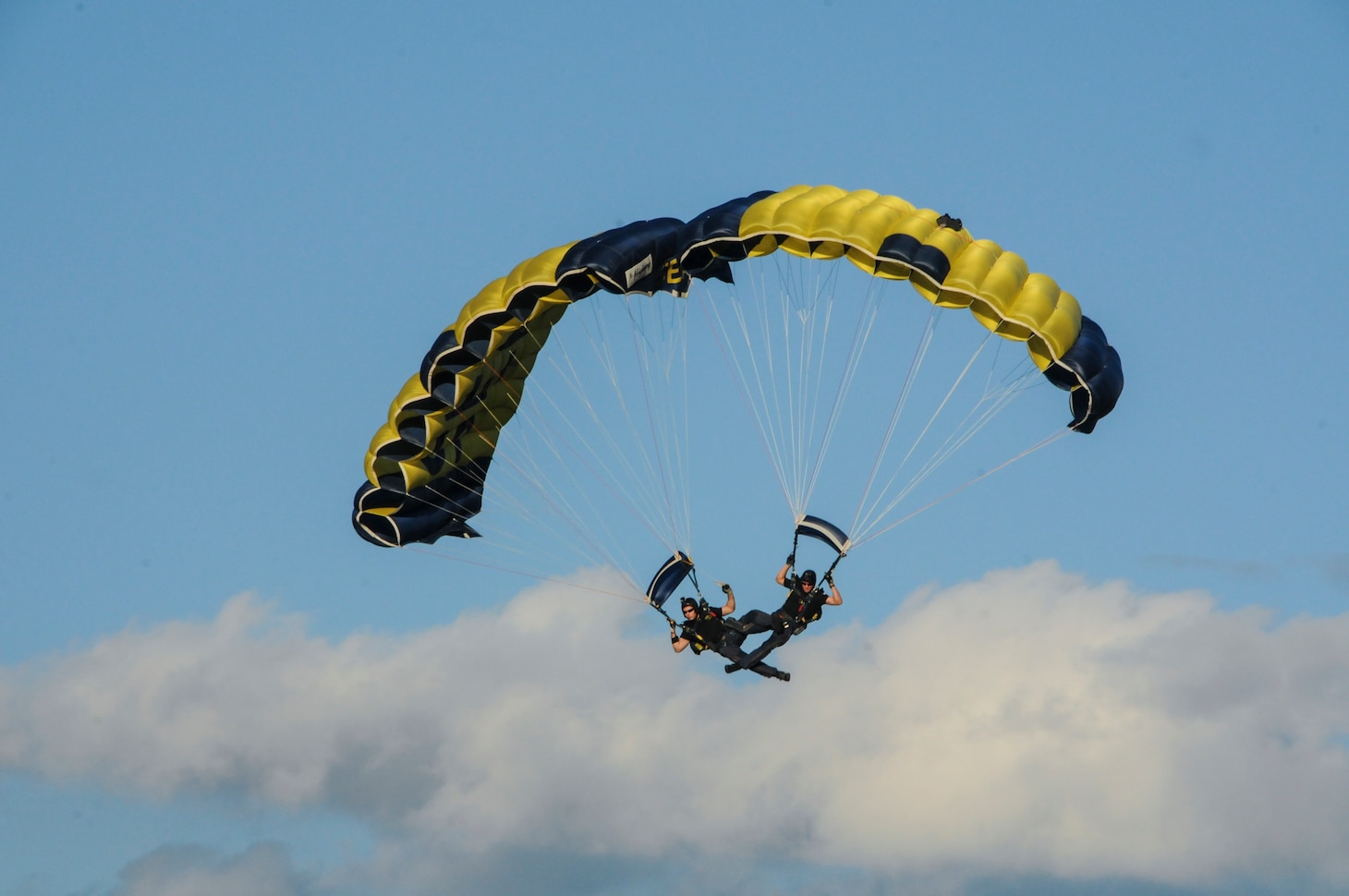 Navy Parachute Team Jumps at Naval Academy's Summer Seminar > United ...