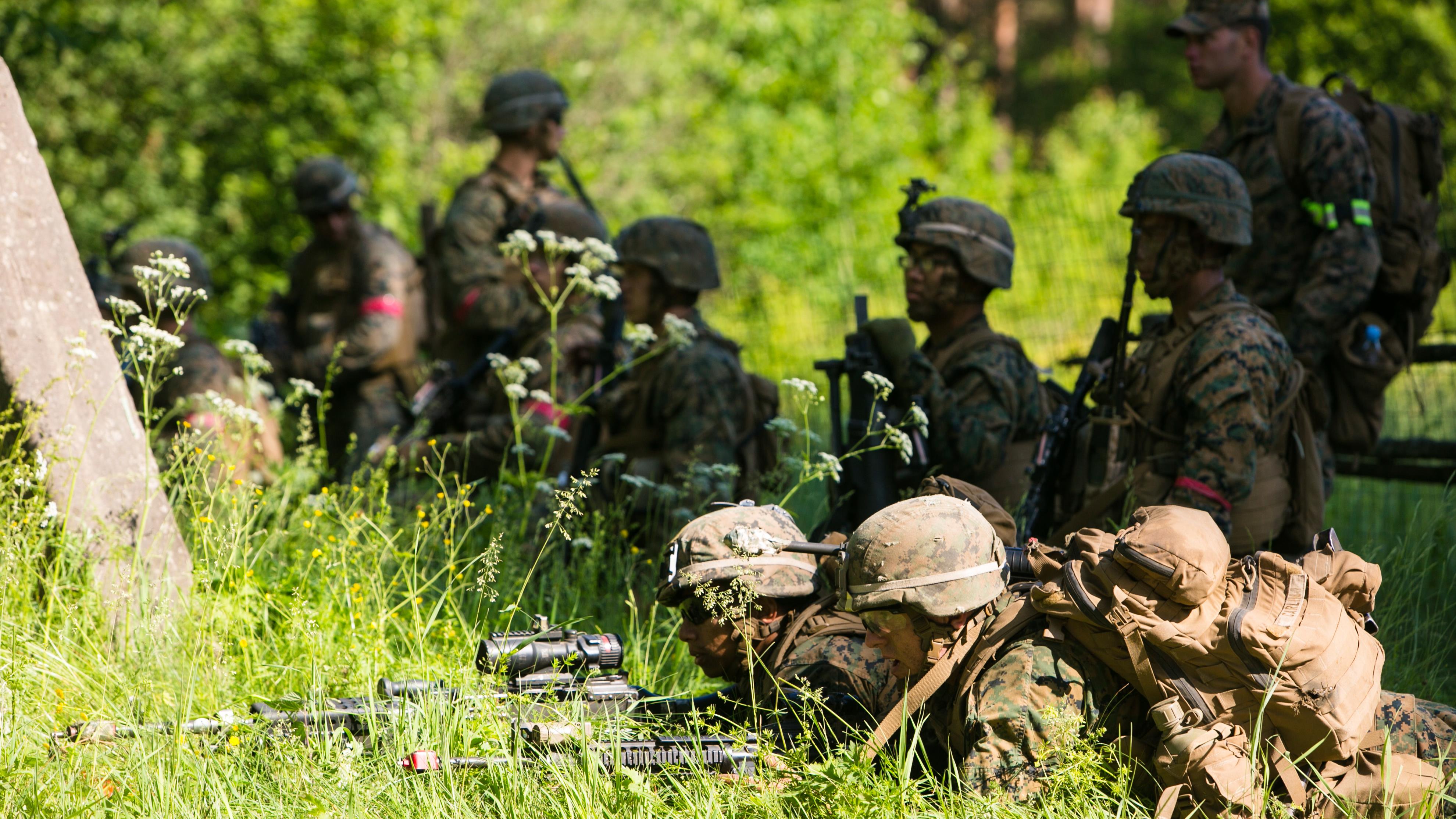 Allies launch offensive operations during Saber Strike 2015