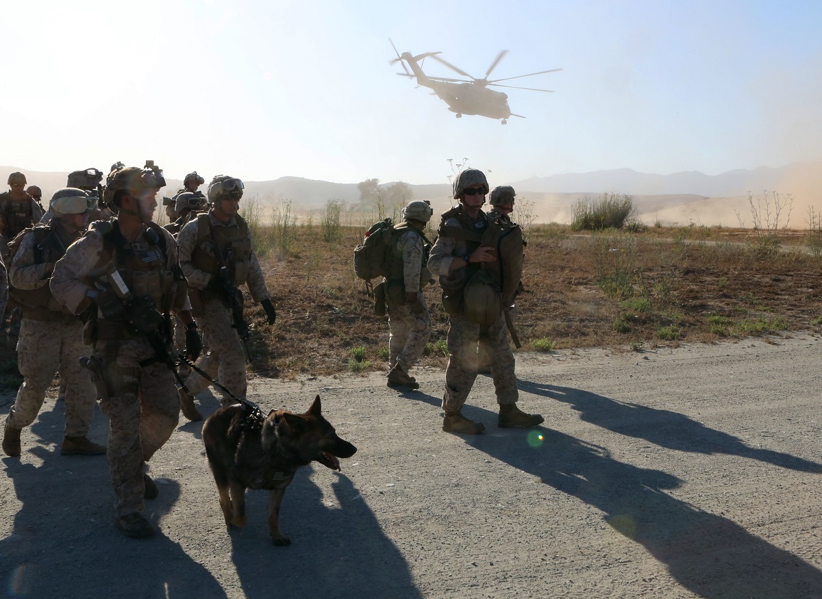 1st EOD Company Gets Versatile with Pre-Deployment Training > I Marine ...