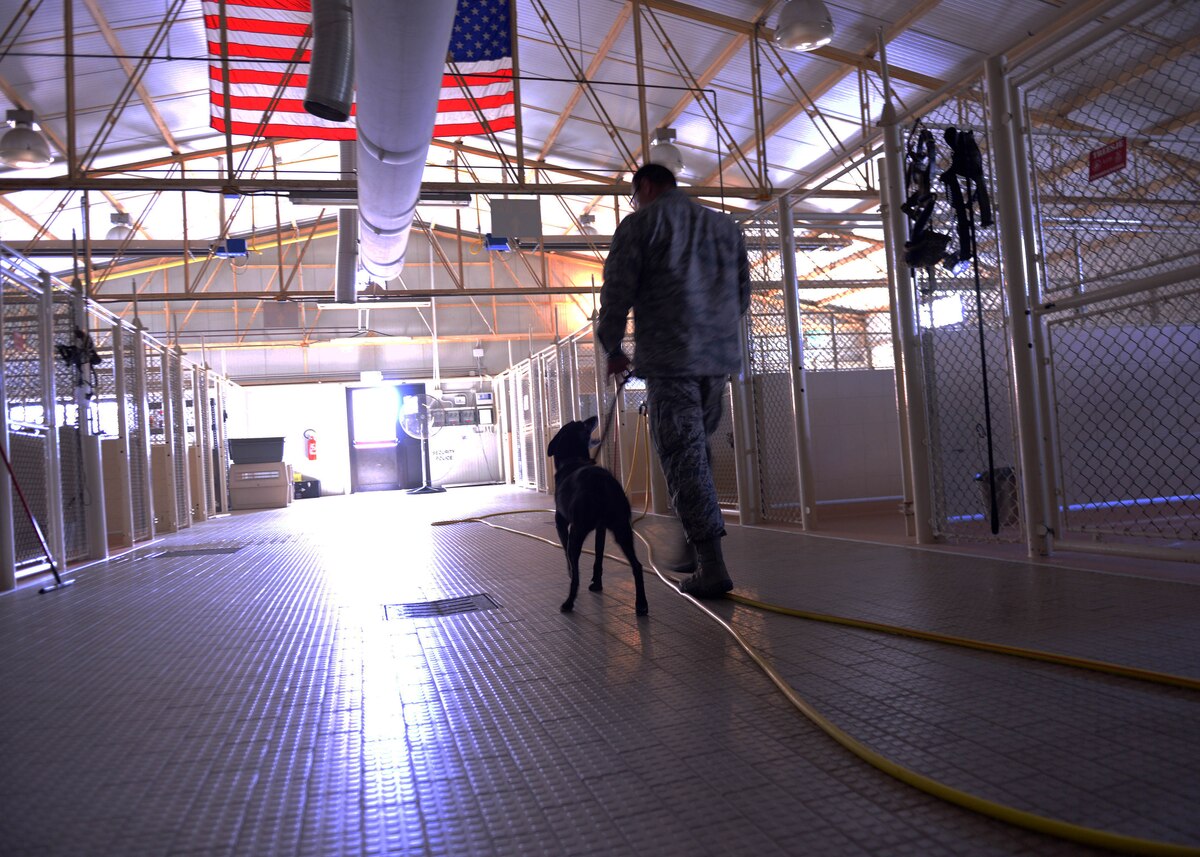 Inseparable bond continues as furry friend joins the family > Aviano ...