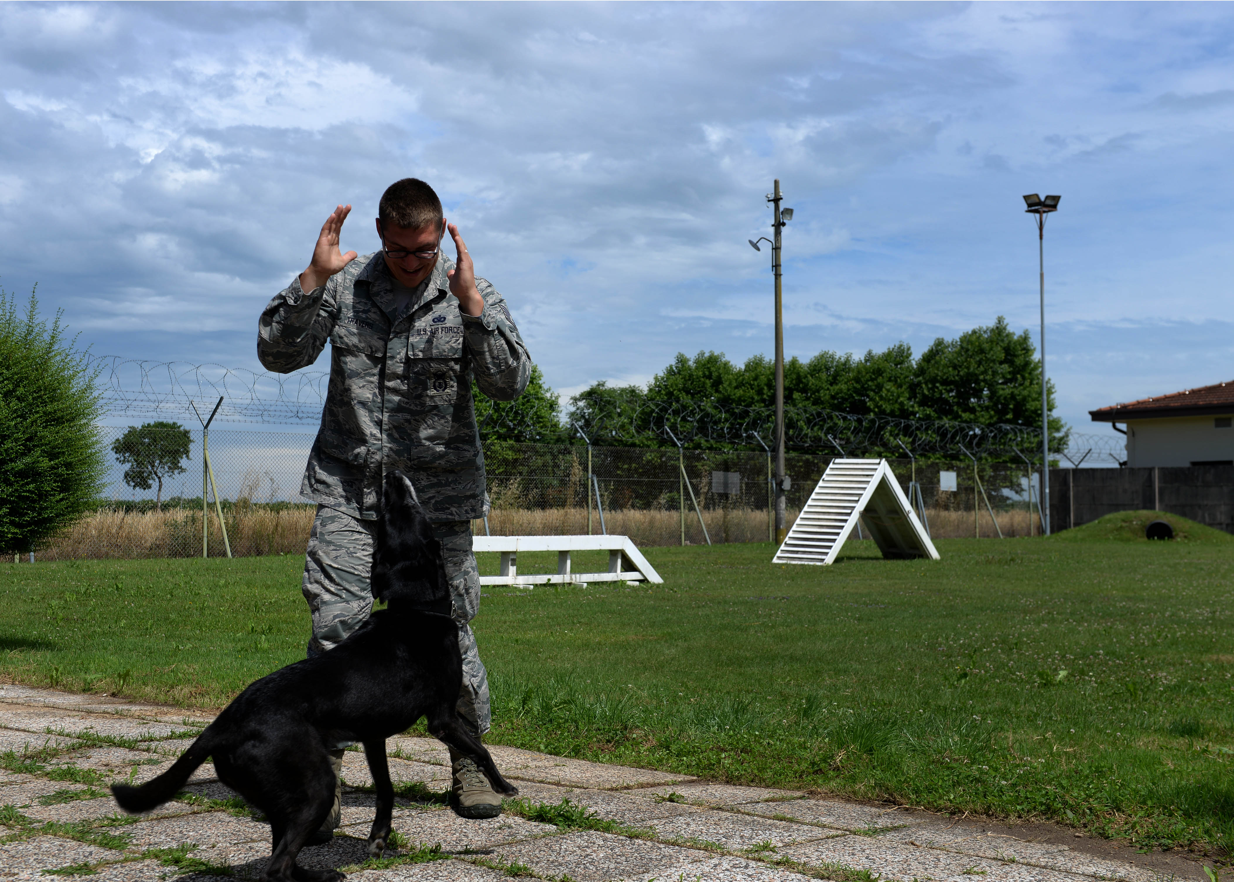 Inseparable bond continues as furry friend joins the family > Aviano ...