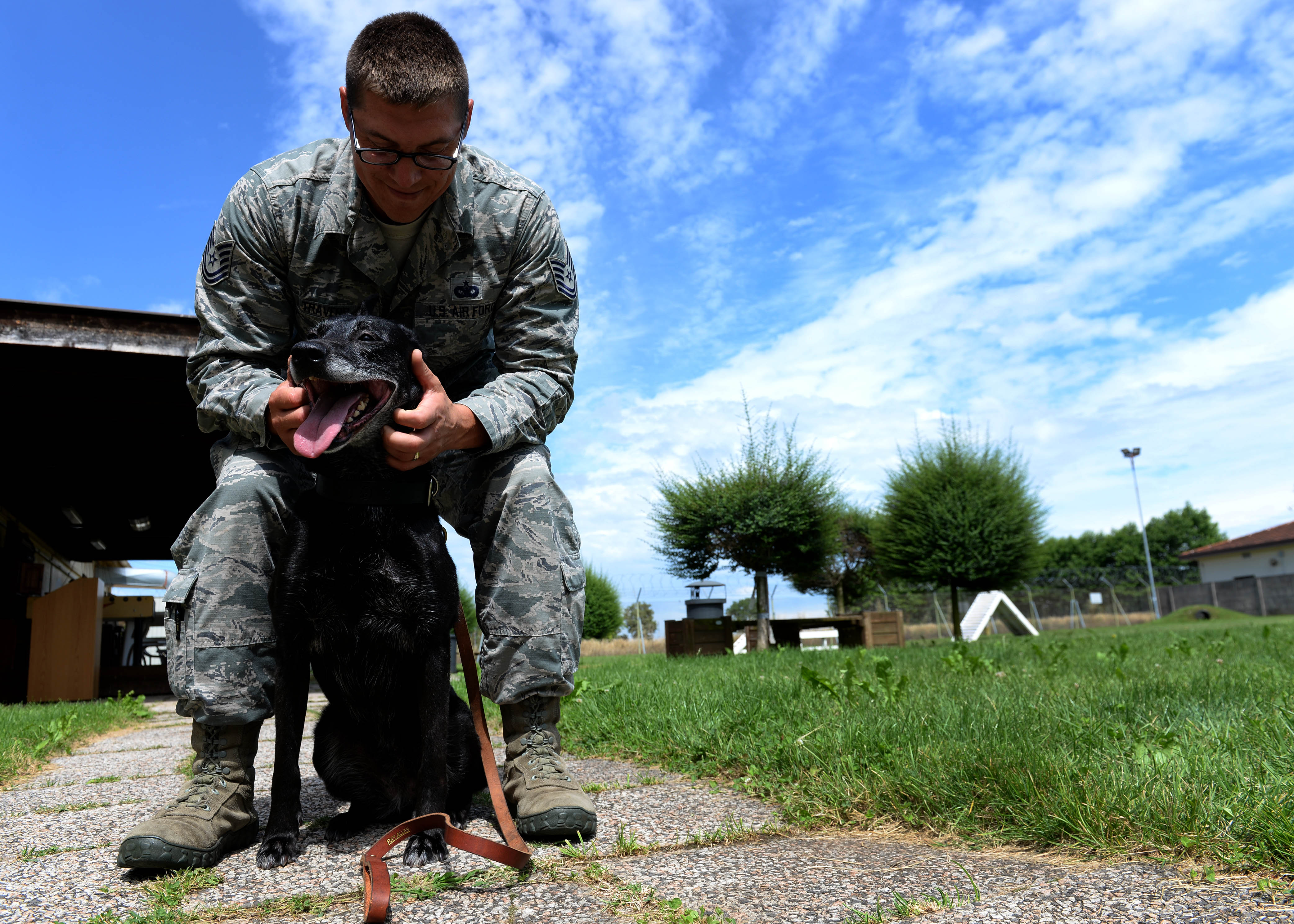 Inseparable bond continues as furry friend joins the family > Aviano ...