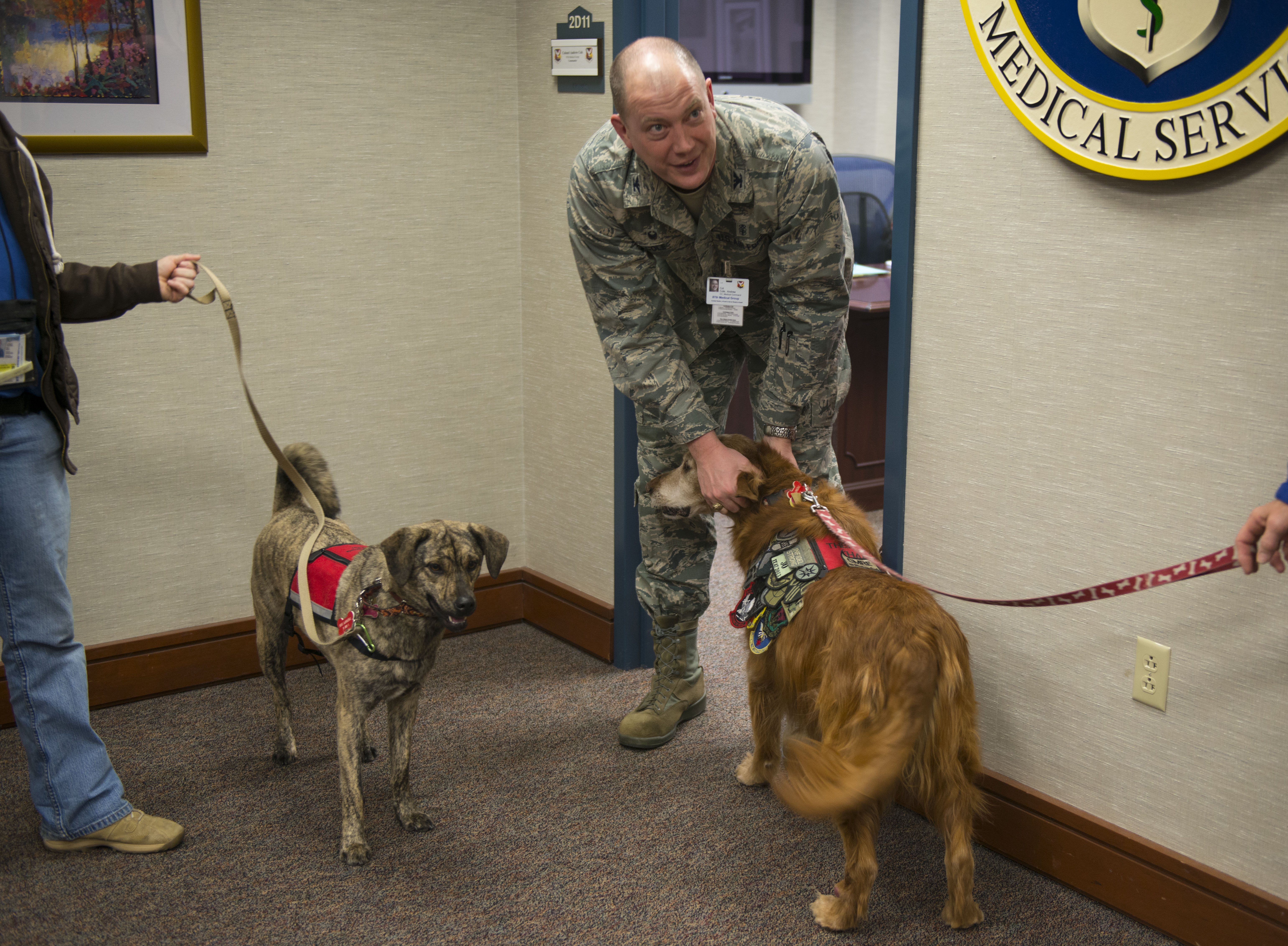 Furry Angels bring joy, healing to JB MDL > Air Force Medical Service ...