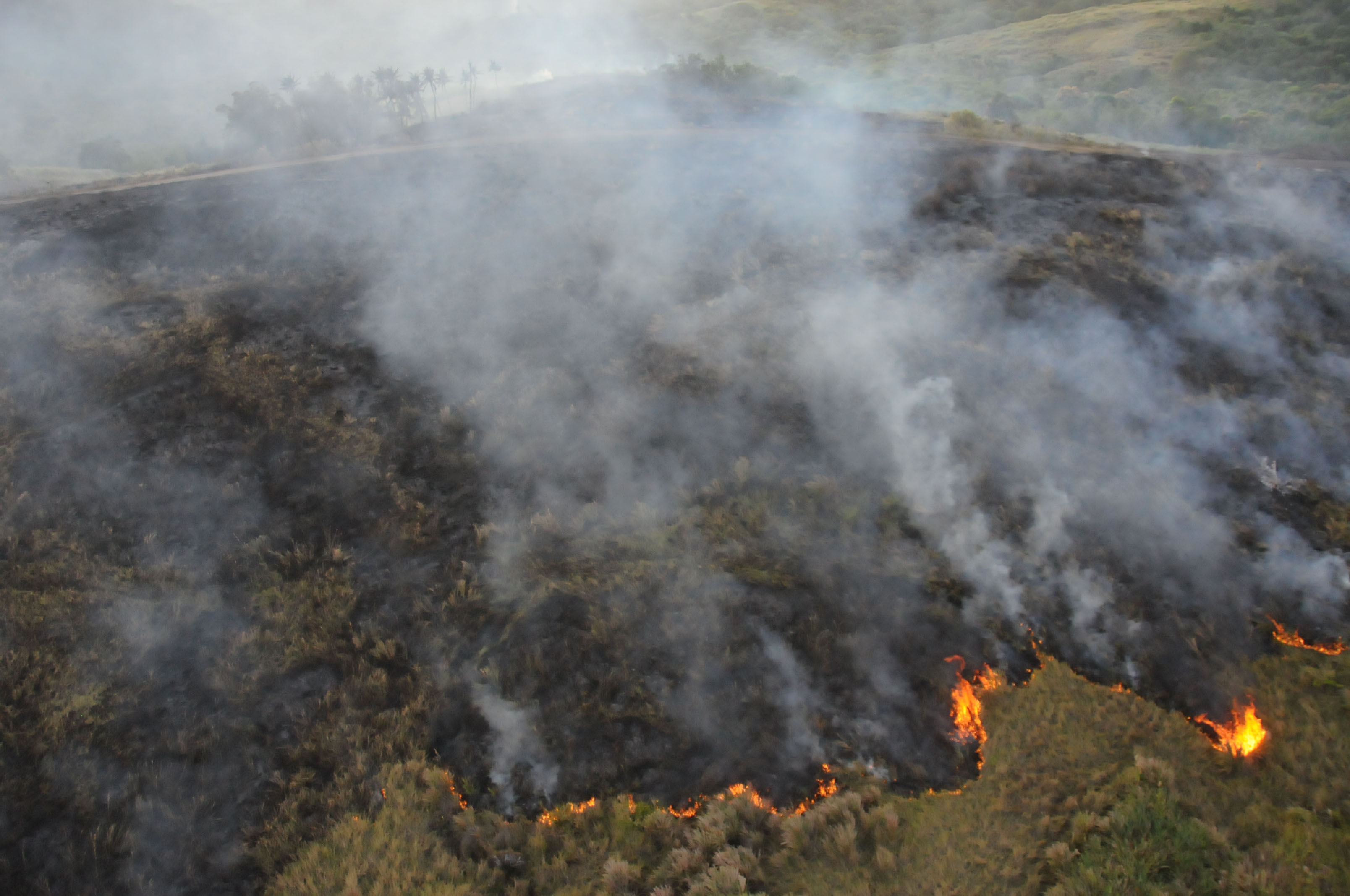 Sailors, Navy Fire and Emergency Services Partner to Extinguish Grass ...