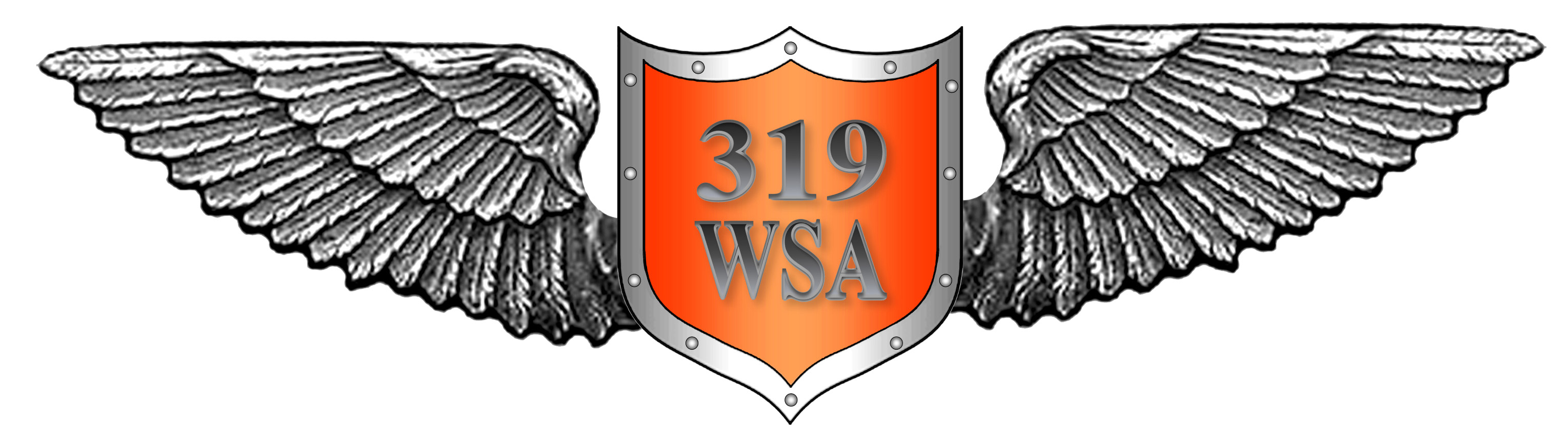 319th Wing Staff Agencies logo (shield with wings)