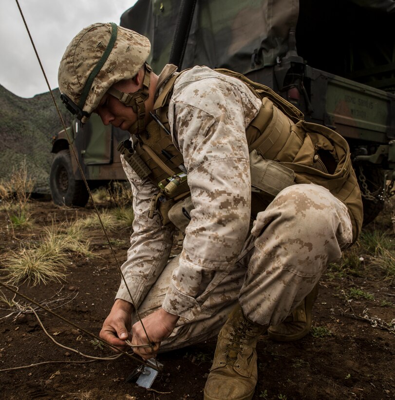 12th Marine Regiment Maneuvers Through Dragon Fire Exercise 15