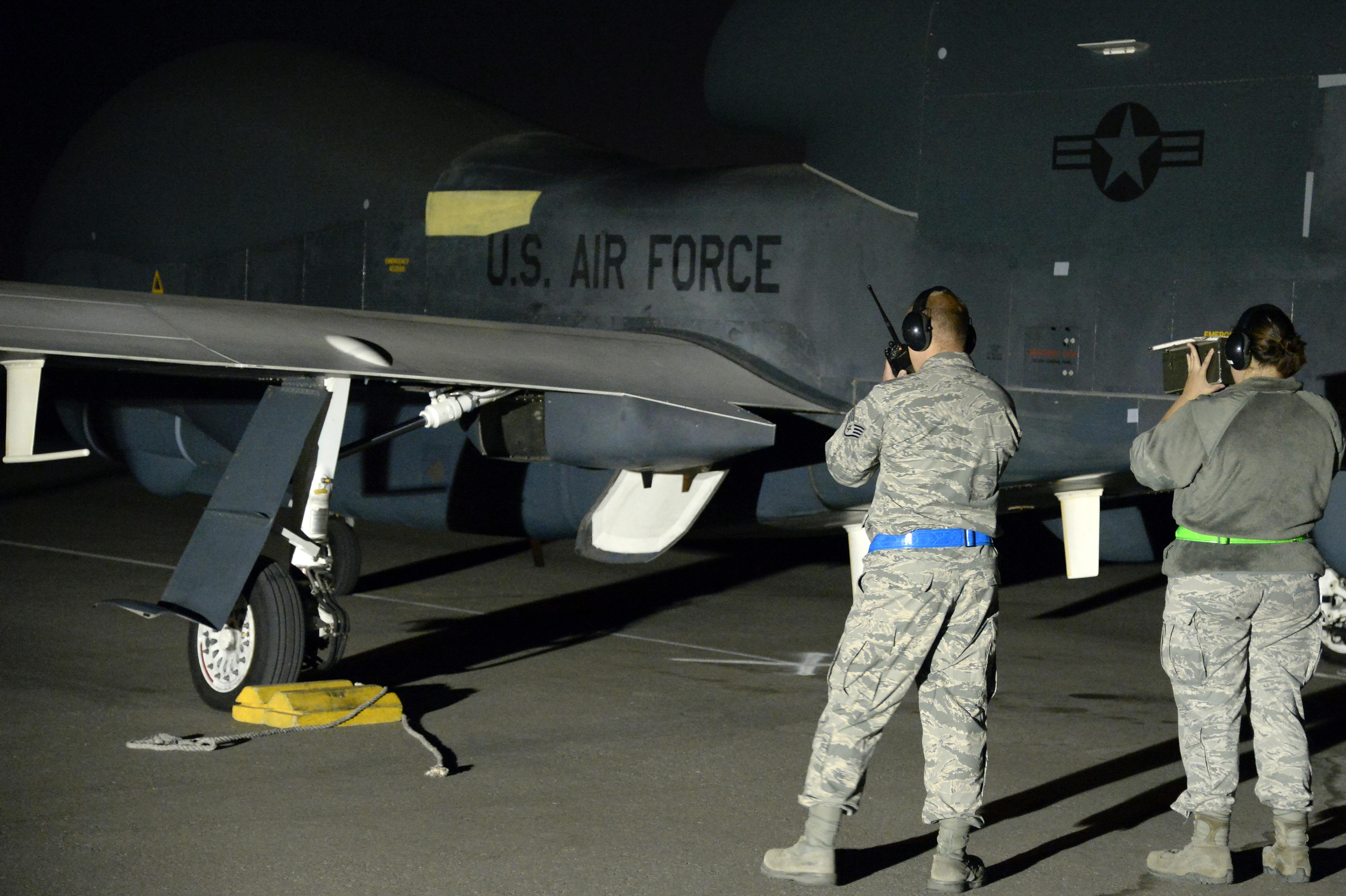 Hawk spots its prey > U.S. Air Forces Central > News
