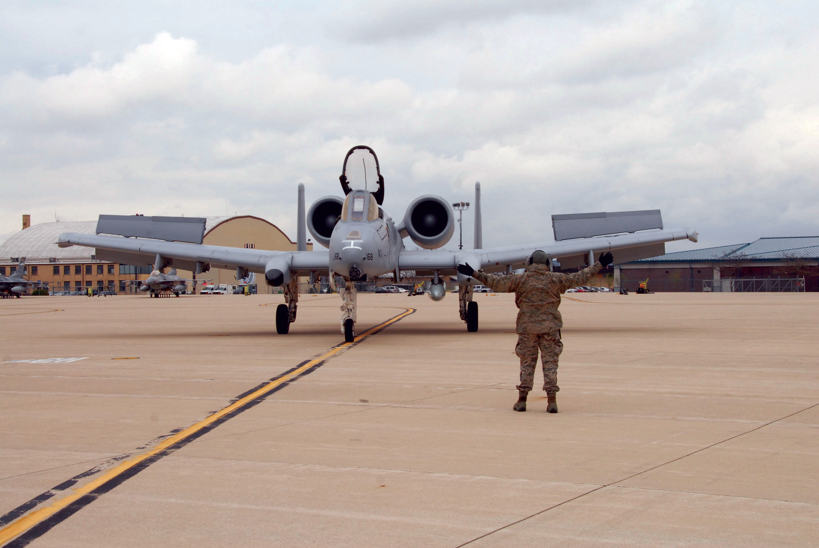 a10 warthogs