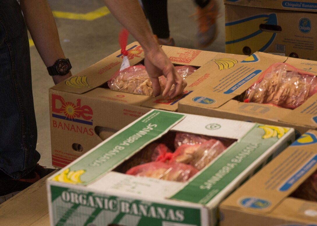 Giving back: Marines, sailors volunteer at The Greater Boston Food Bank