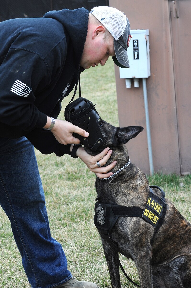Dogs, handlers train in Texas before patrolling Scott AFB > Scott Air ...