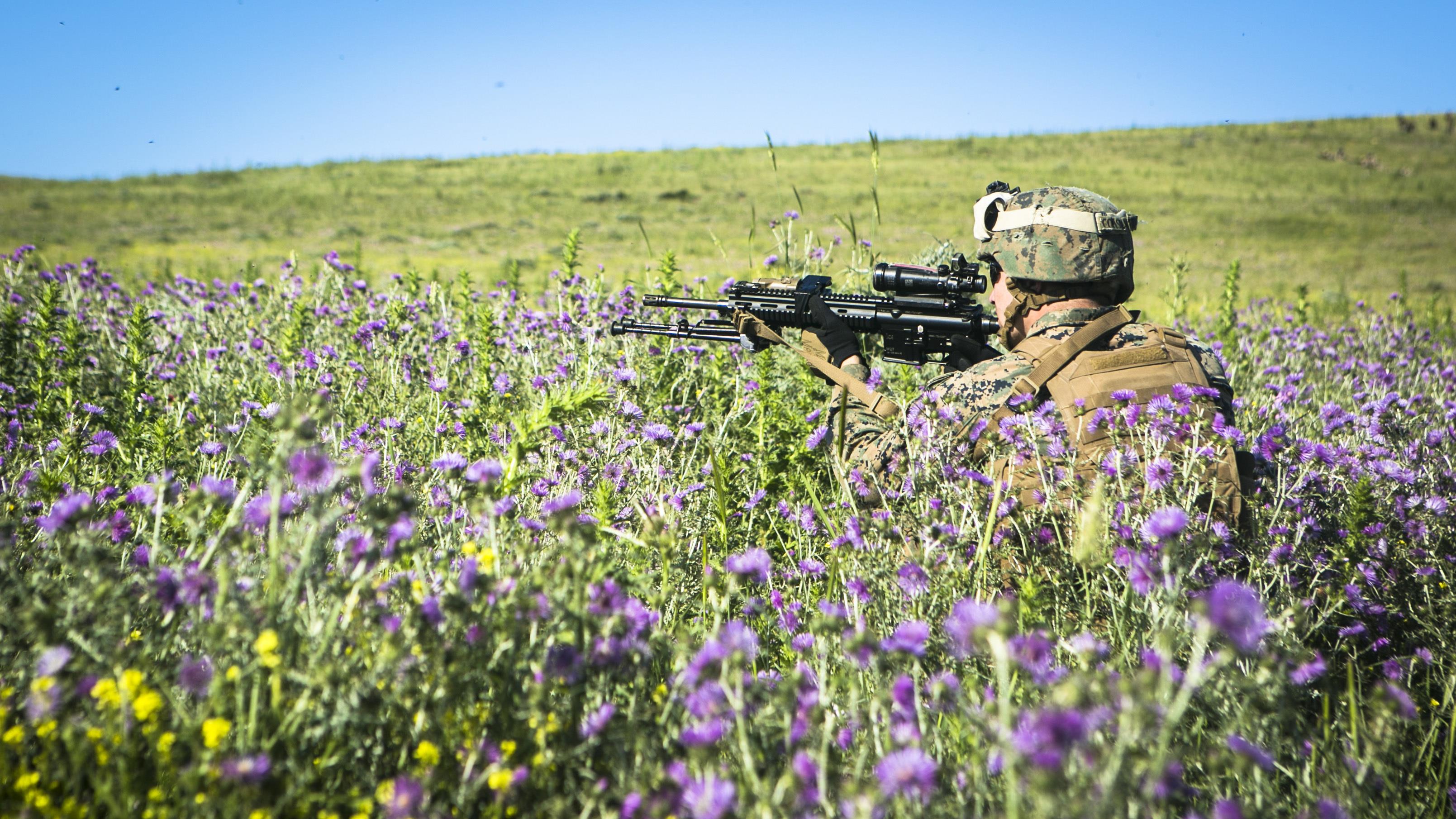 Platoon Assault: U.S. Marines team up with Spanish for live-fire training