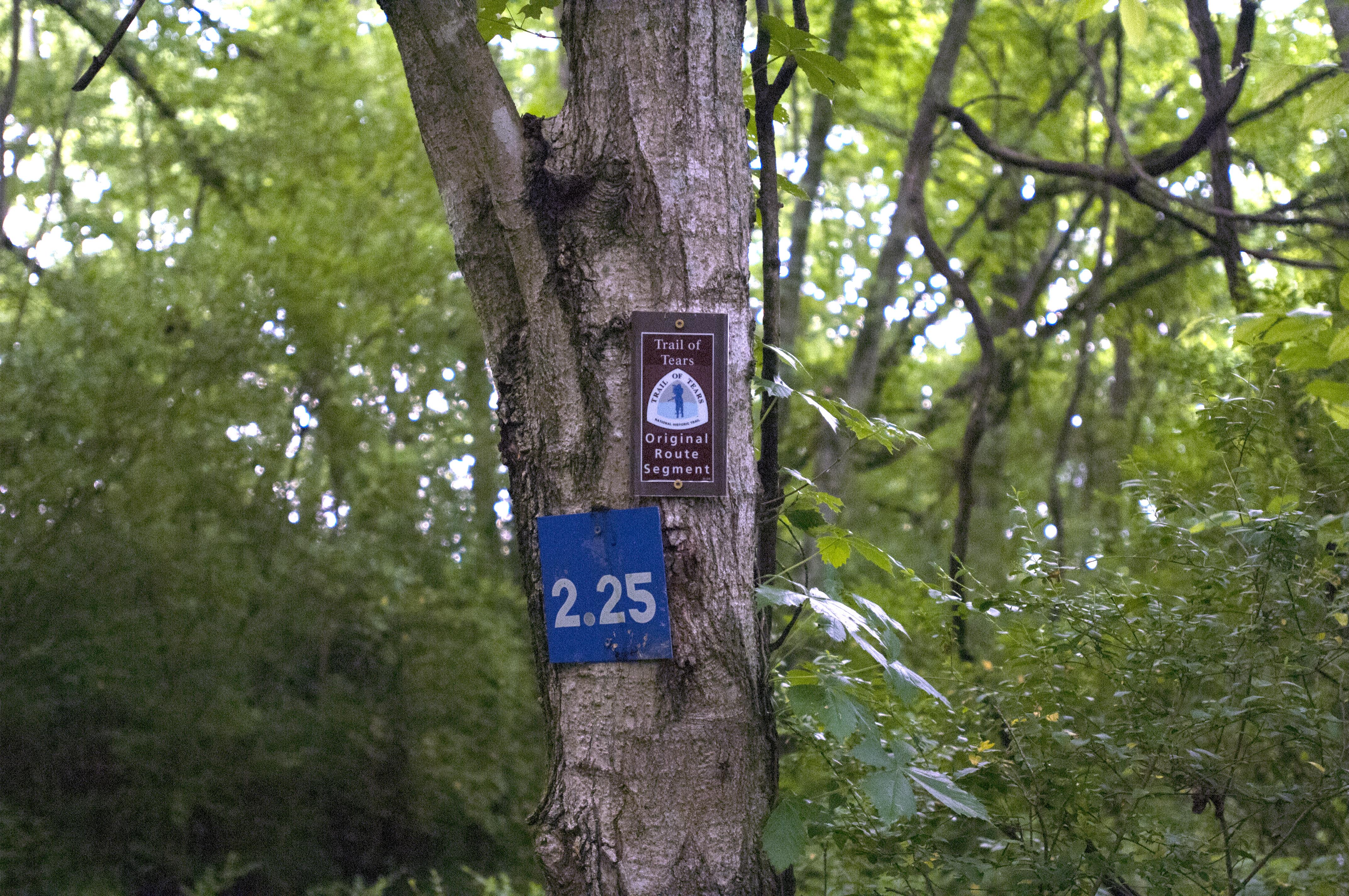 Corps invites public to hike rediscovered segment of Trail of Tears > U ...