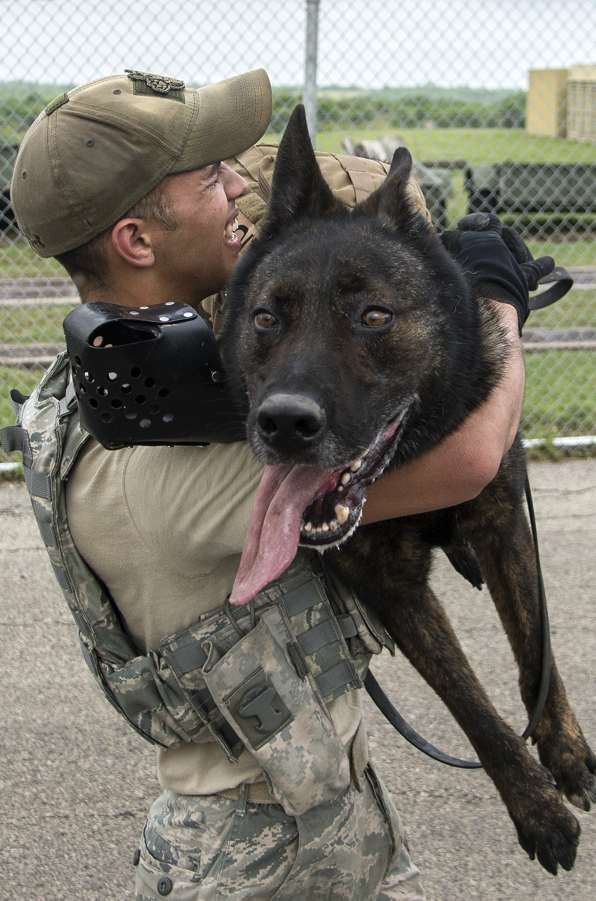 Police Week K-9 and Military Working Dog competition