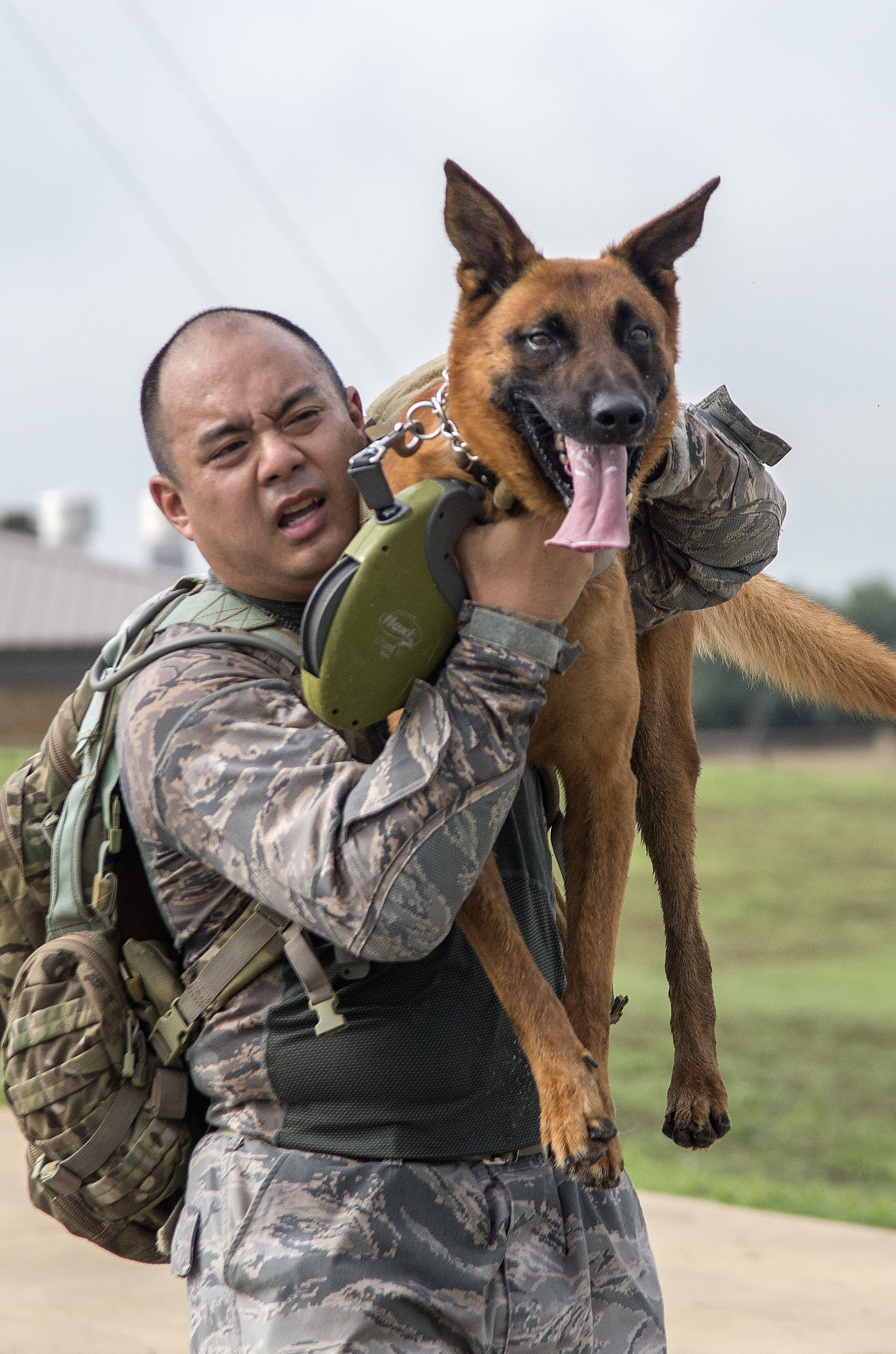 Police Week K-9 and Military Working Dog competition