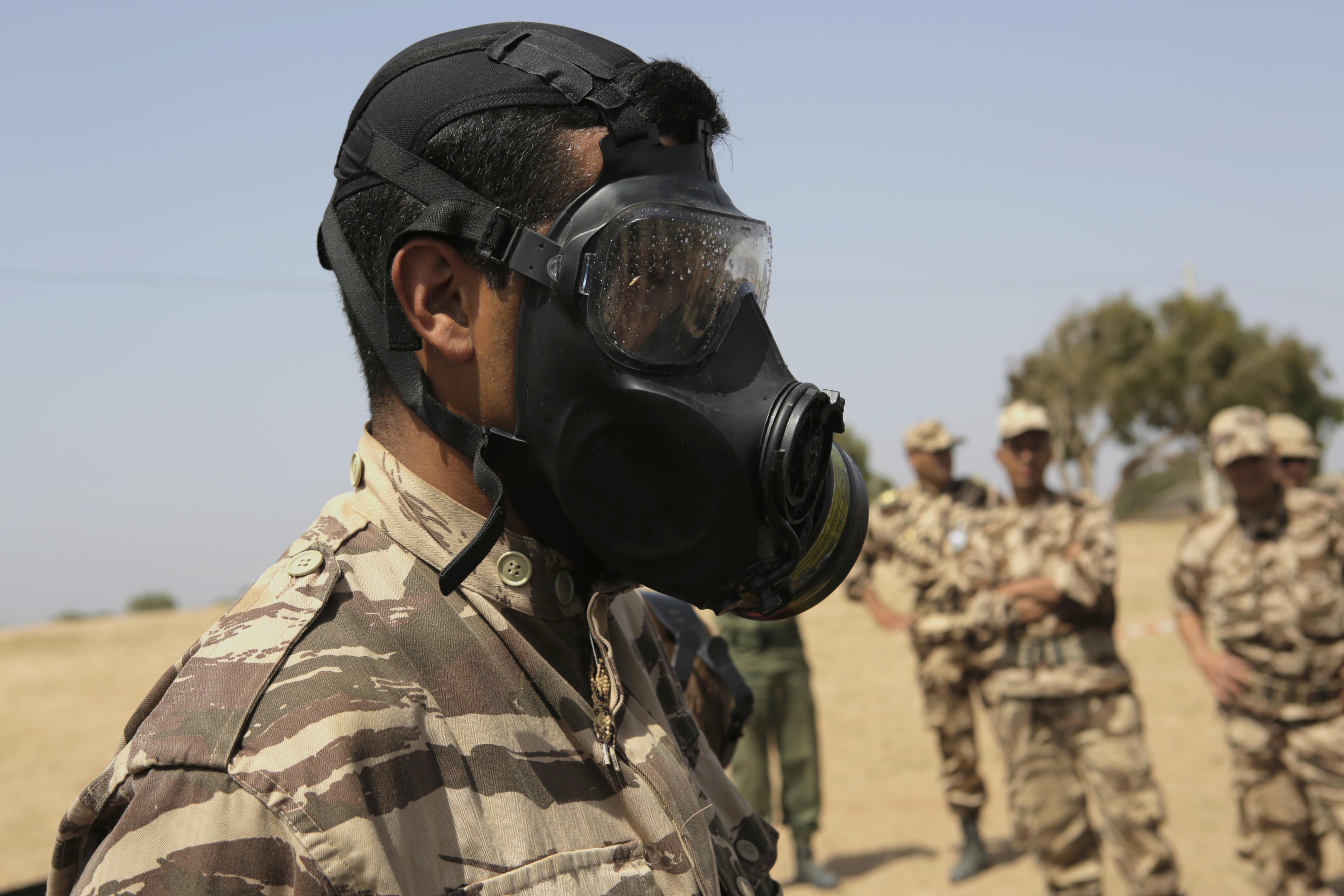 Moroccan, NATO military integration foundation of African Lion 15 ...