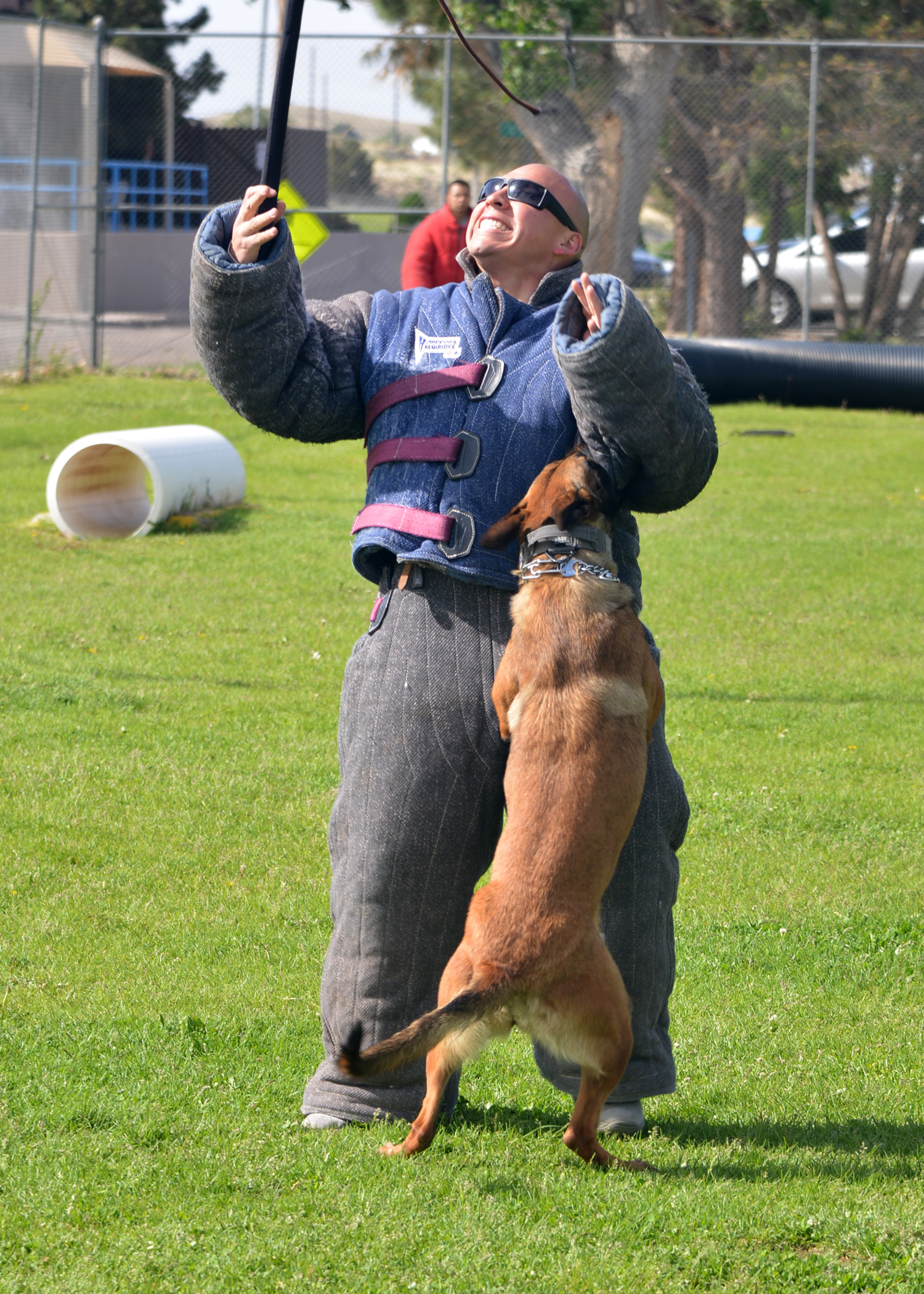 Food, camaraderie and skills all part of second annual K9 competition ...