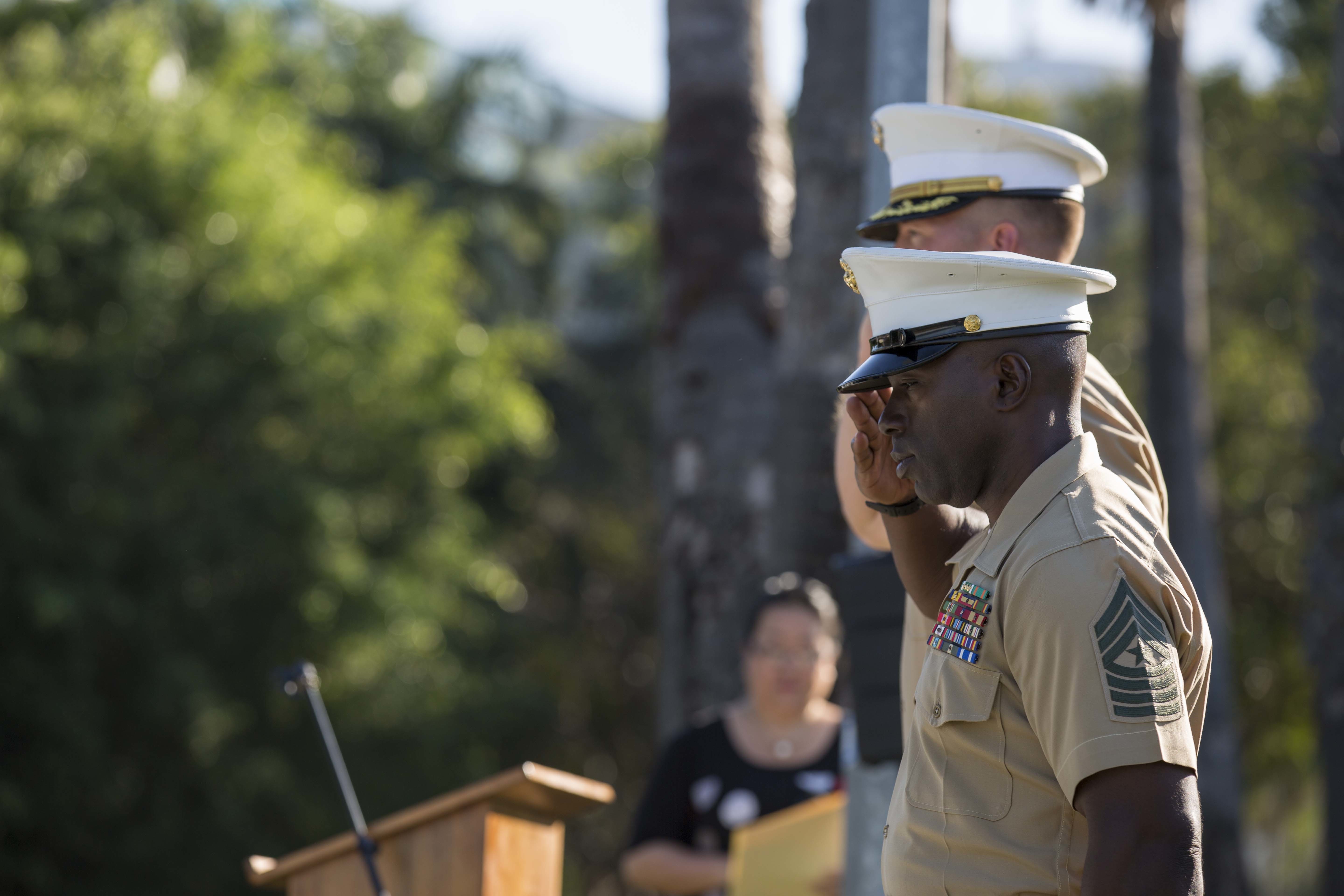 U.S. Marine Corps Forces, Pacific > Units > Marine Rotational Force ...