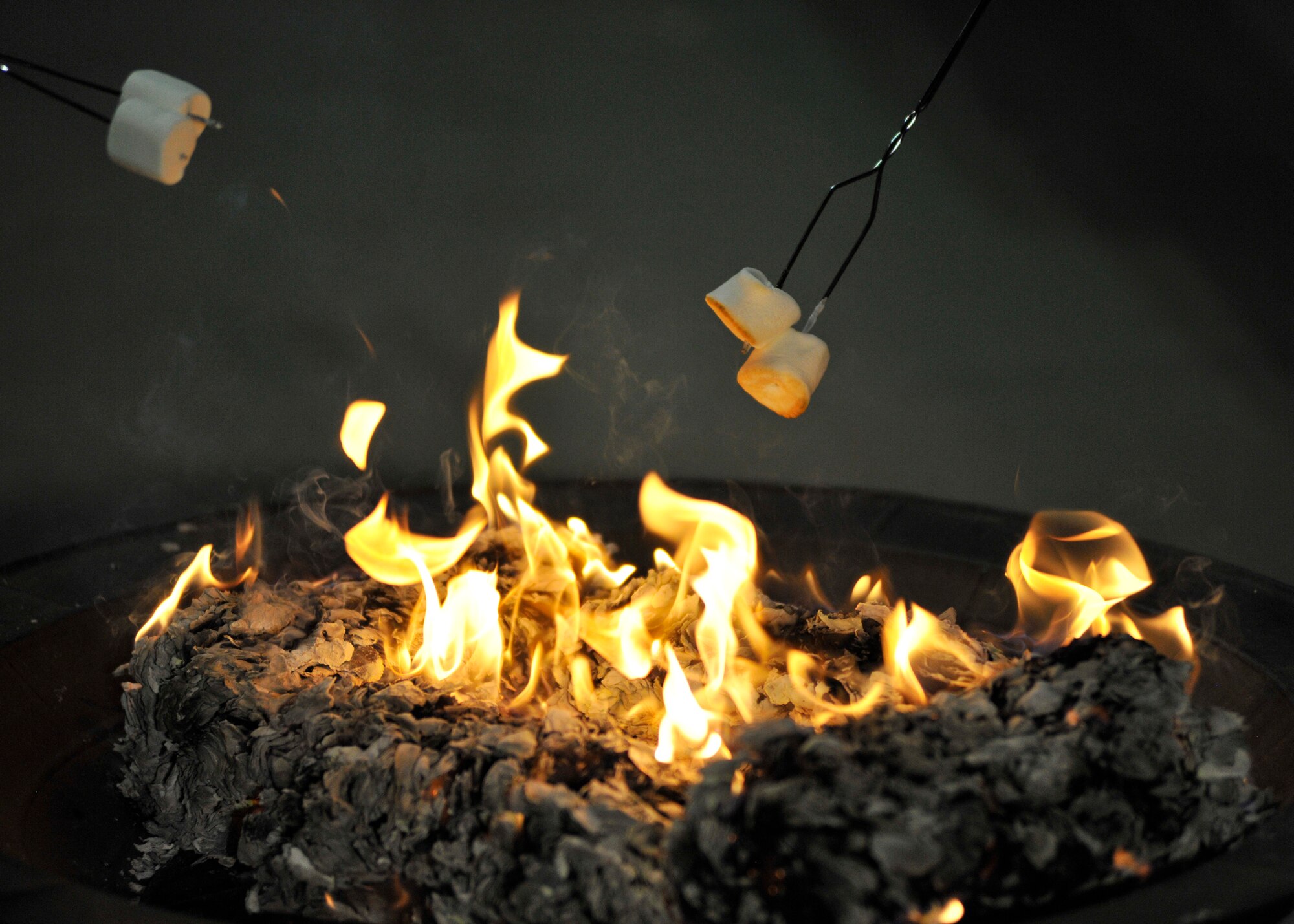 Fallfest Success > Tyndall Air Force Base > Article Display