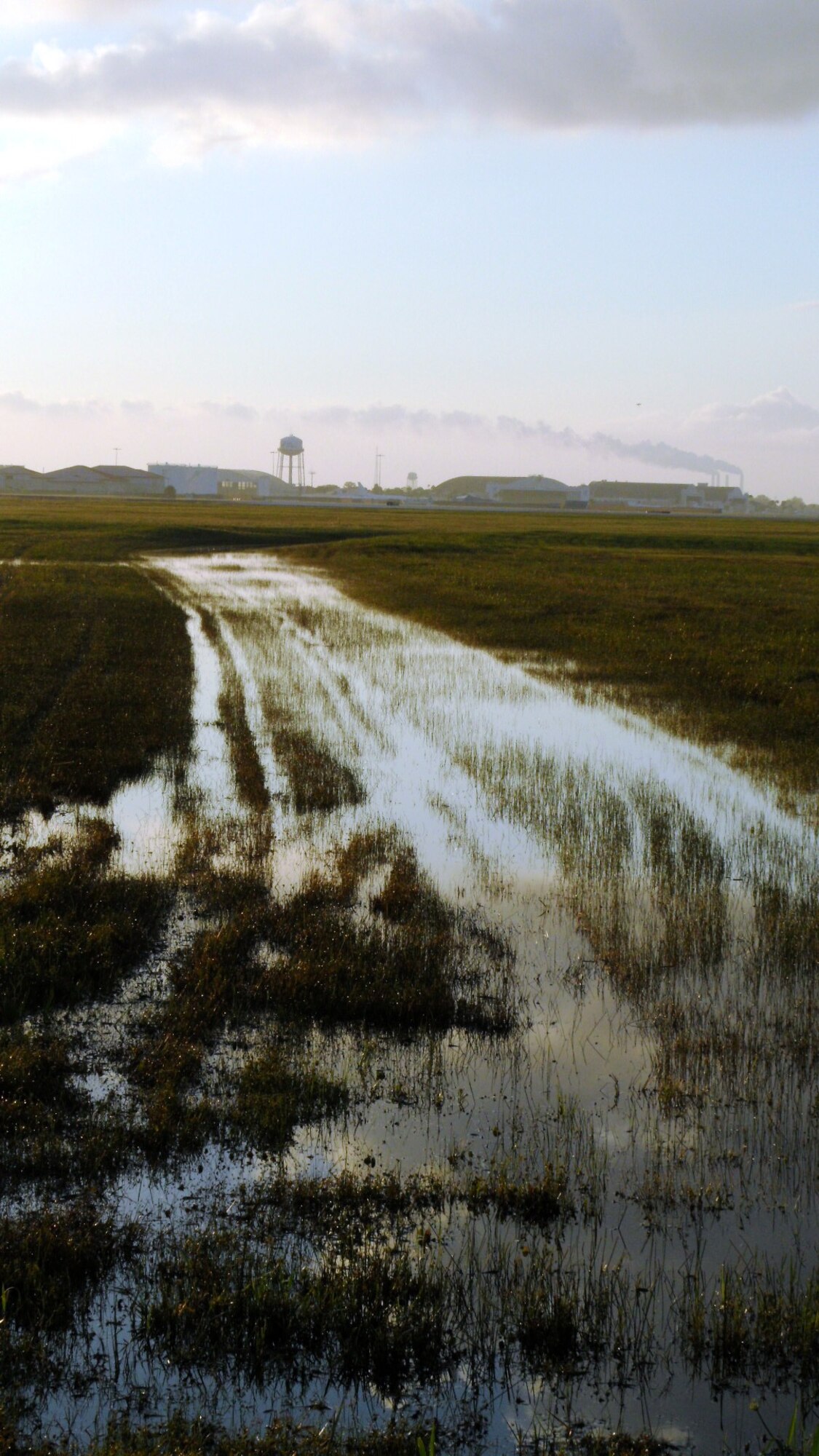 MacDill mitigates wetlands to repair airfield drainage system > MacDill ... MacDill mitigates wetlands to repair airfield drainage system > MacDill ...