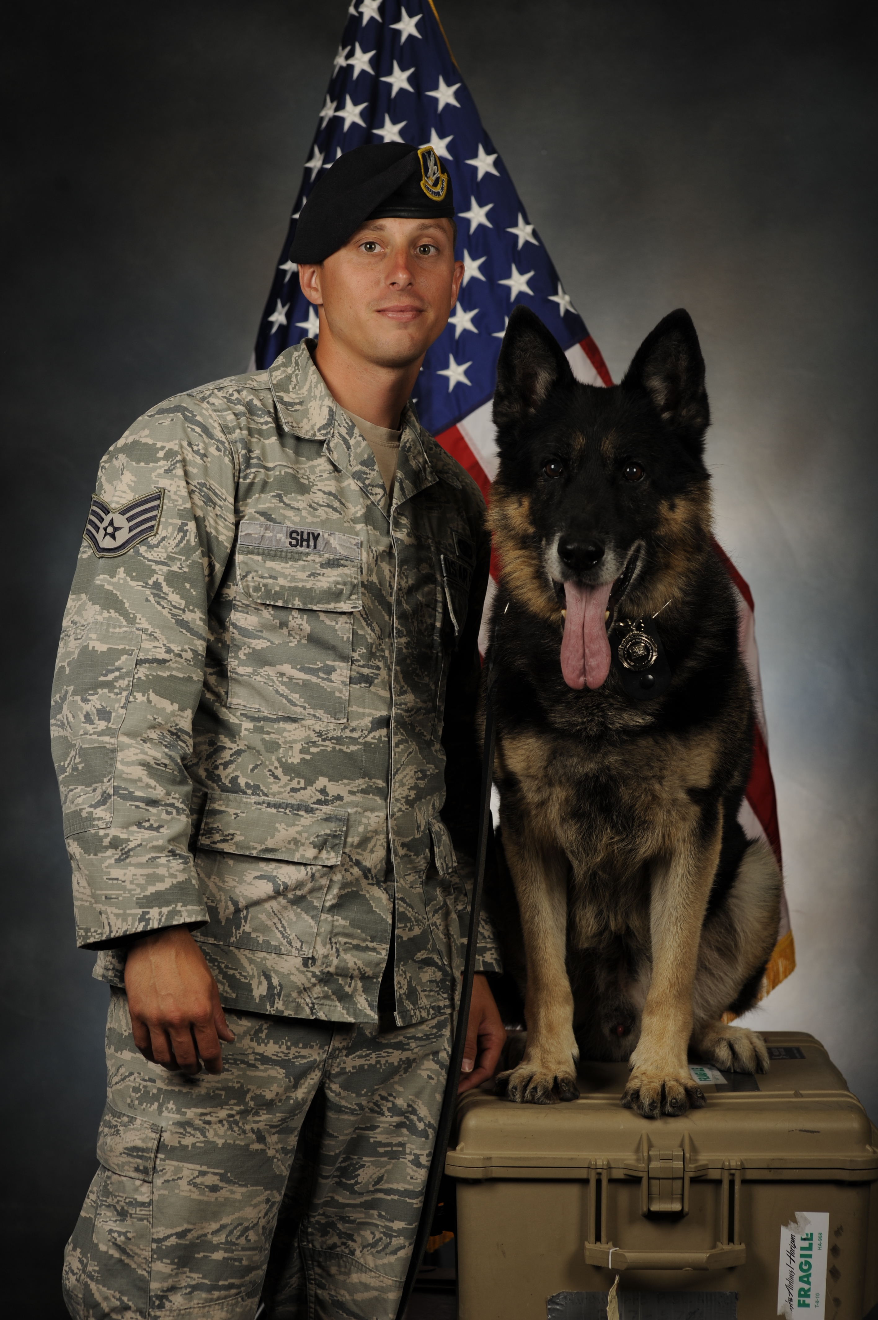 MWD Handler