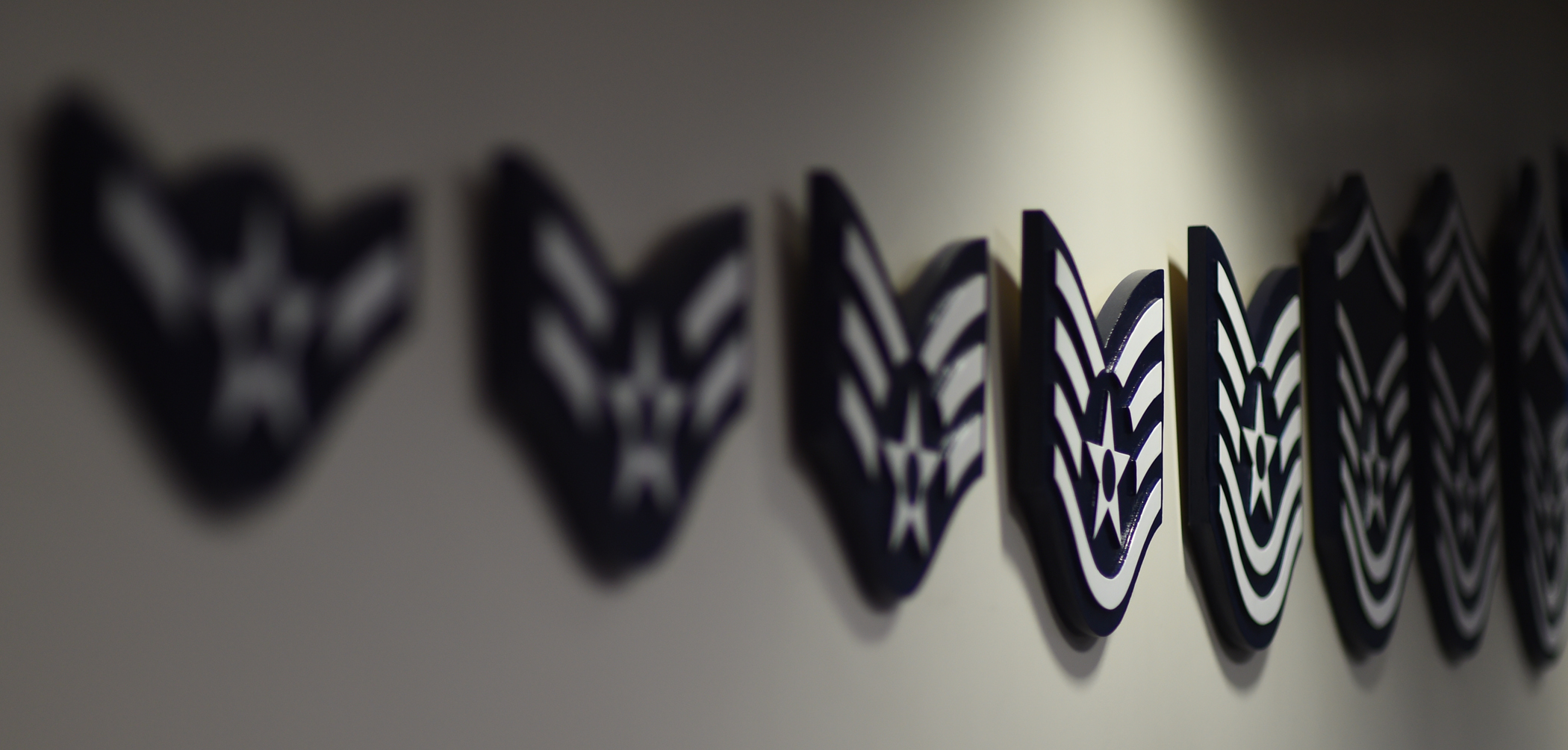 Total Force Leadership Development Program bridges PME gap > 15th Wing ...