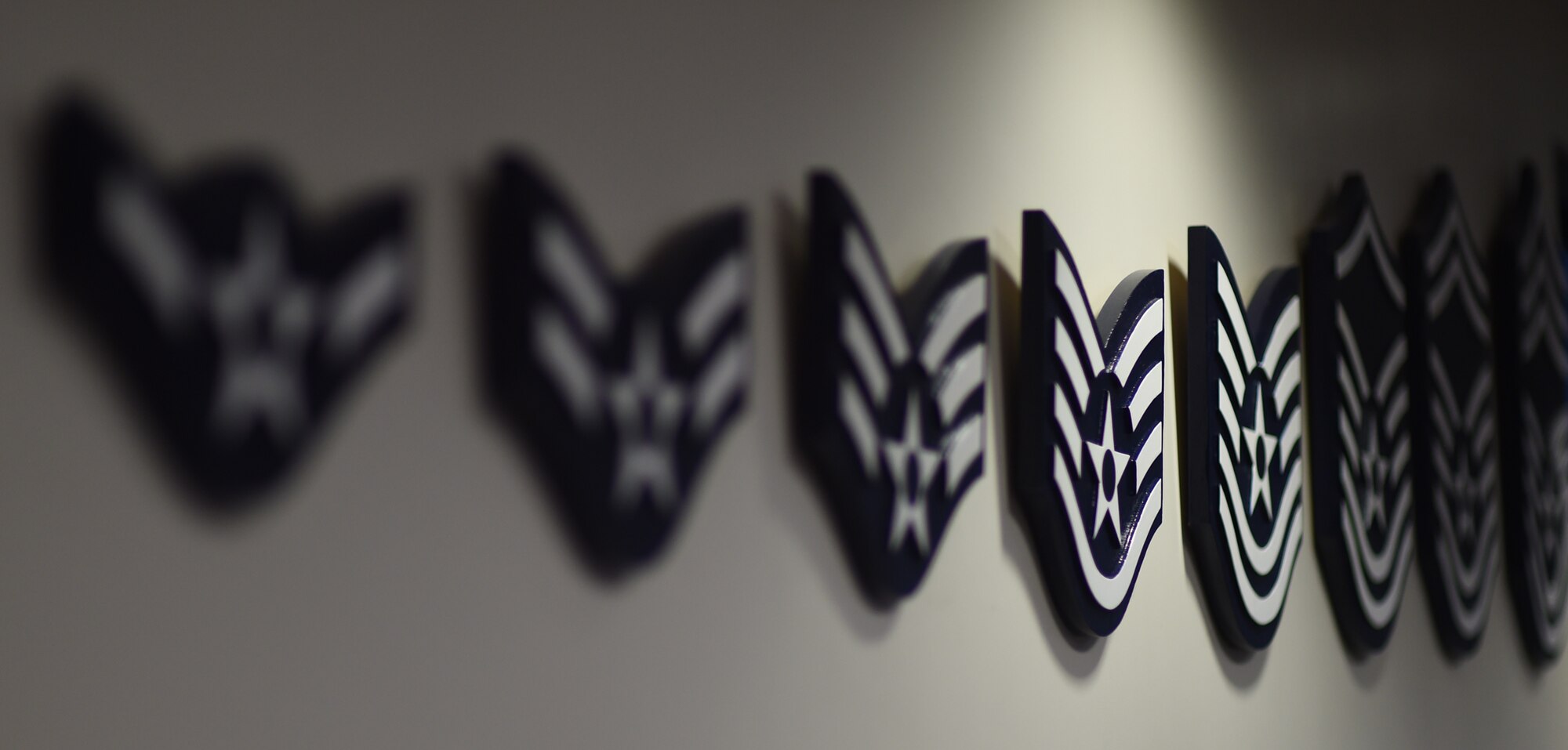 Total Force Leadership Development Program bridges PME gap > 15th Wing ...