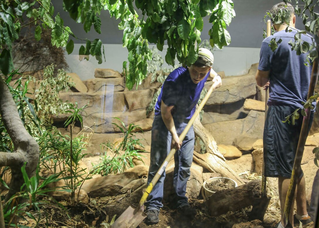 U.S. Marines restore habitat displays at Territory Wildlife Park in ...