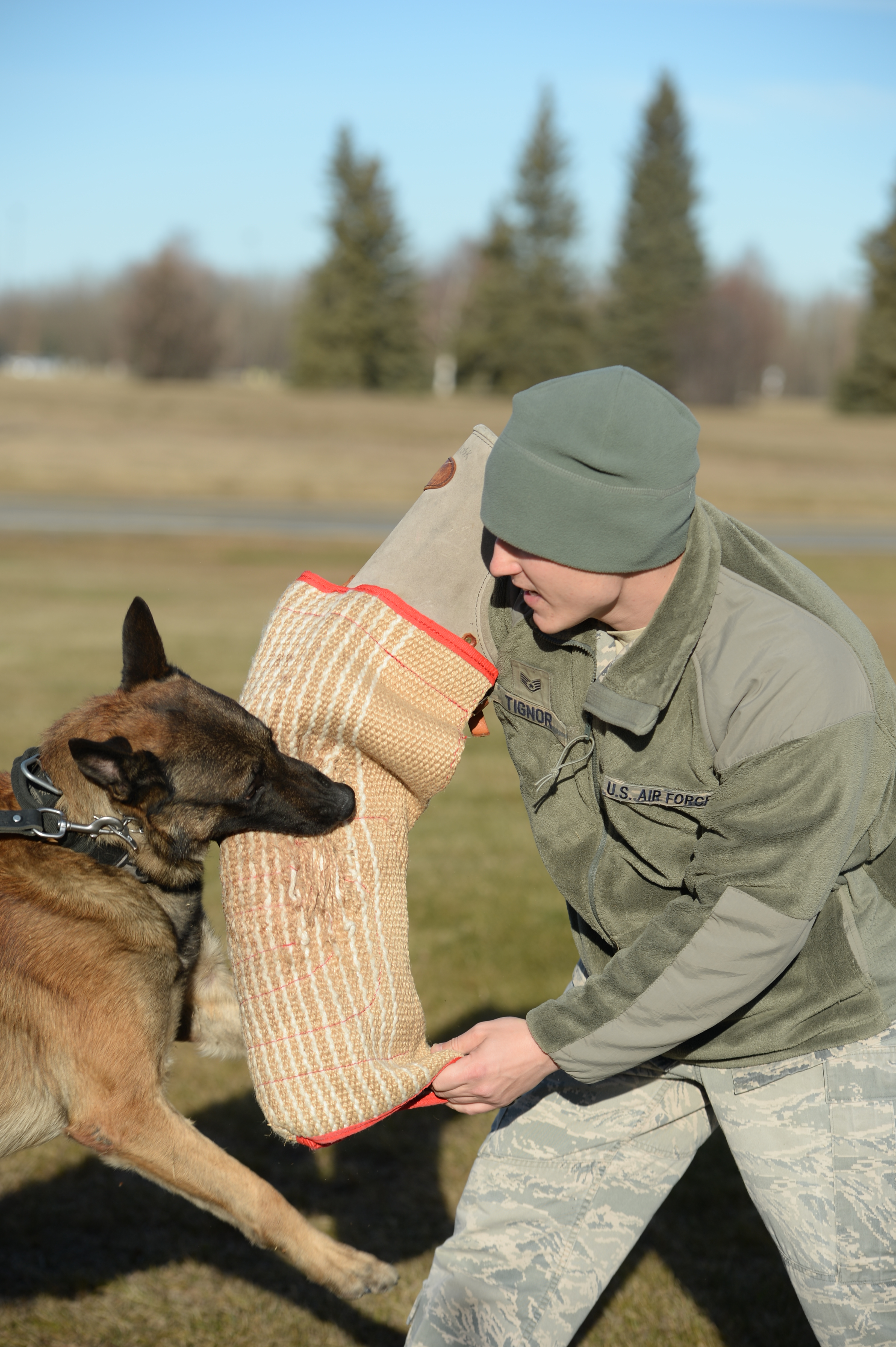 Iceman in Action: Staff Sgt. Carey Tignor > Eielson Air Force Base ...