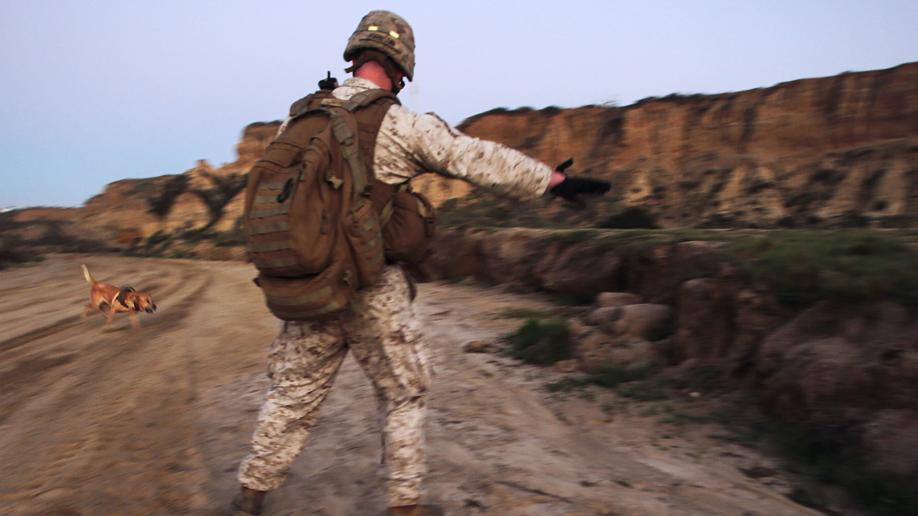 Marine dog teams sniff out trouble