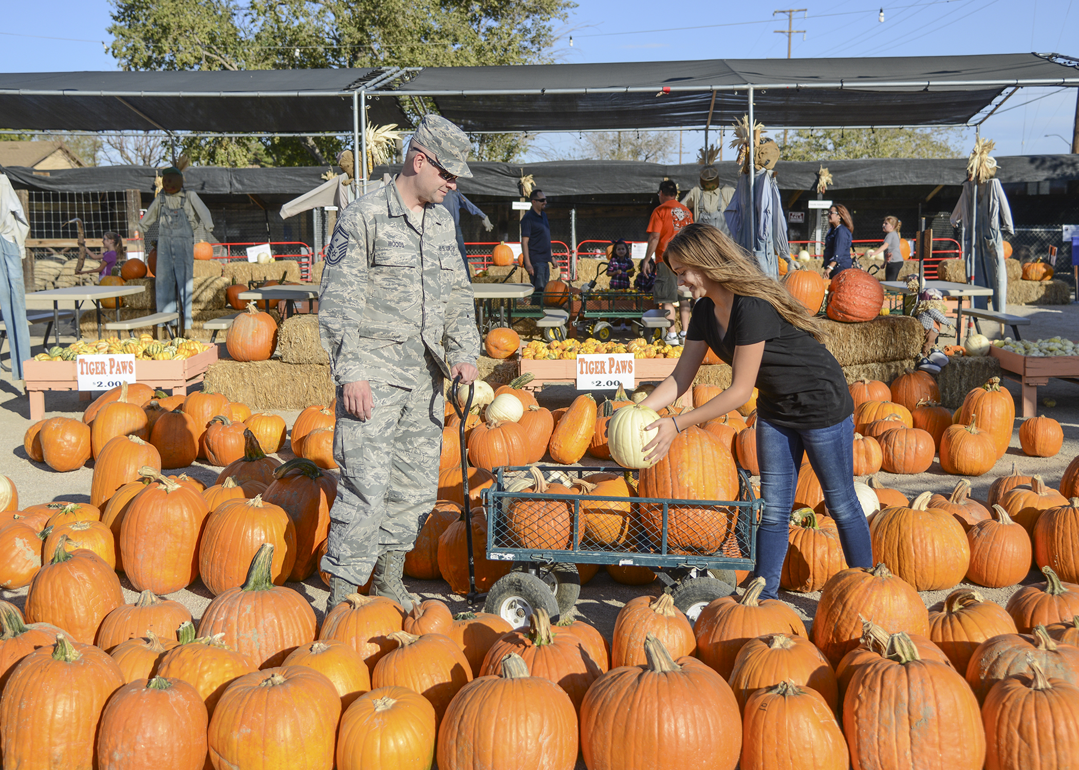 412th SFS picks pumpkins for party from Rosamond pumpkin patch ...