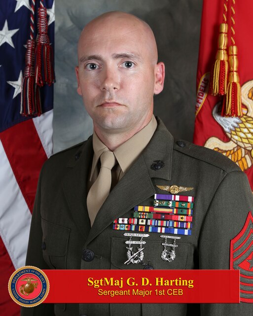 Sergeant Major Harting > 1st Marine Division > Biography
