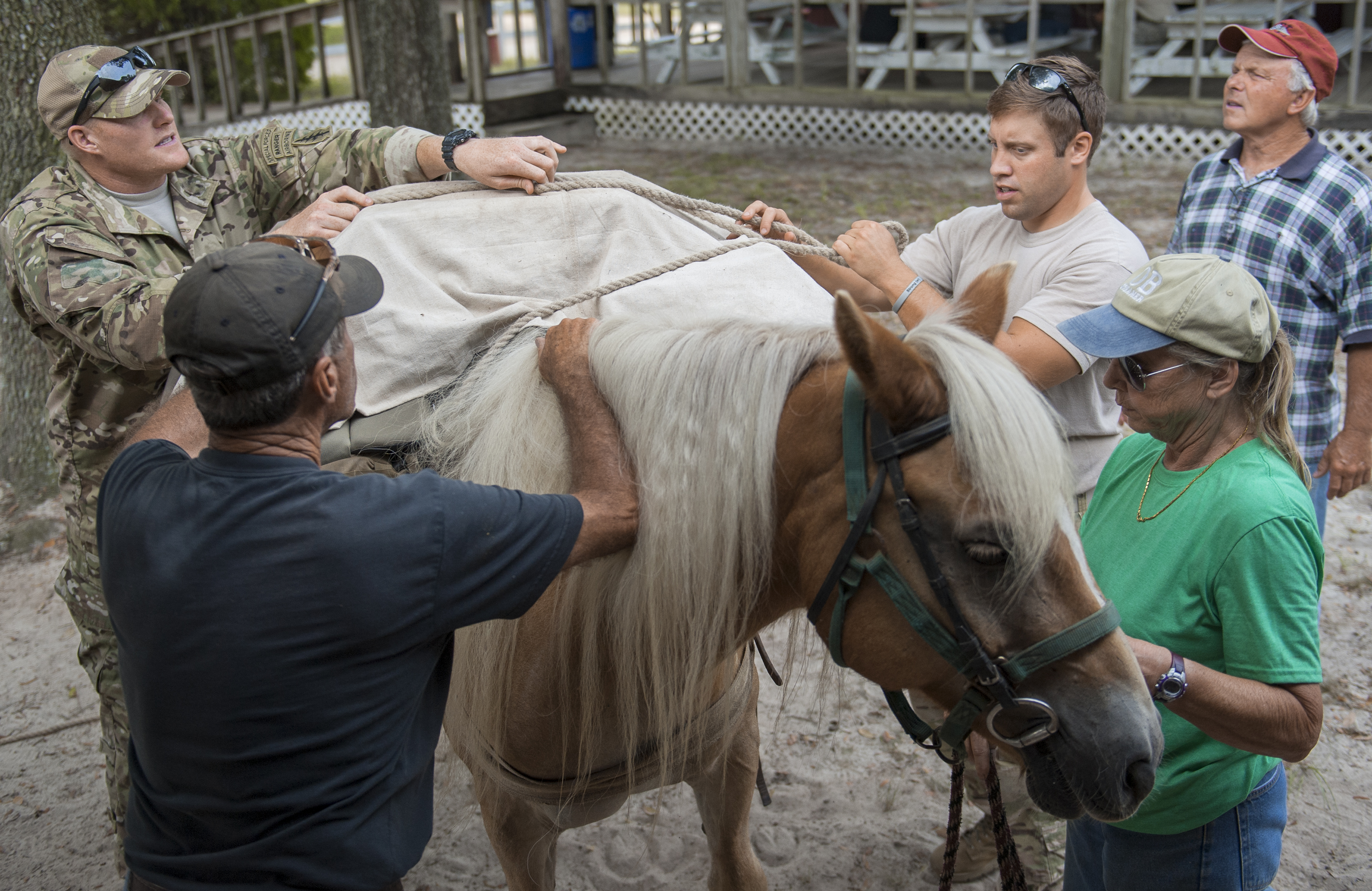 Soldiers train with horses, learn valuable skills > Eglin Air Force ...