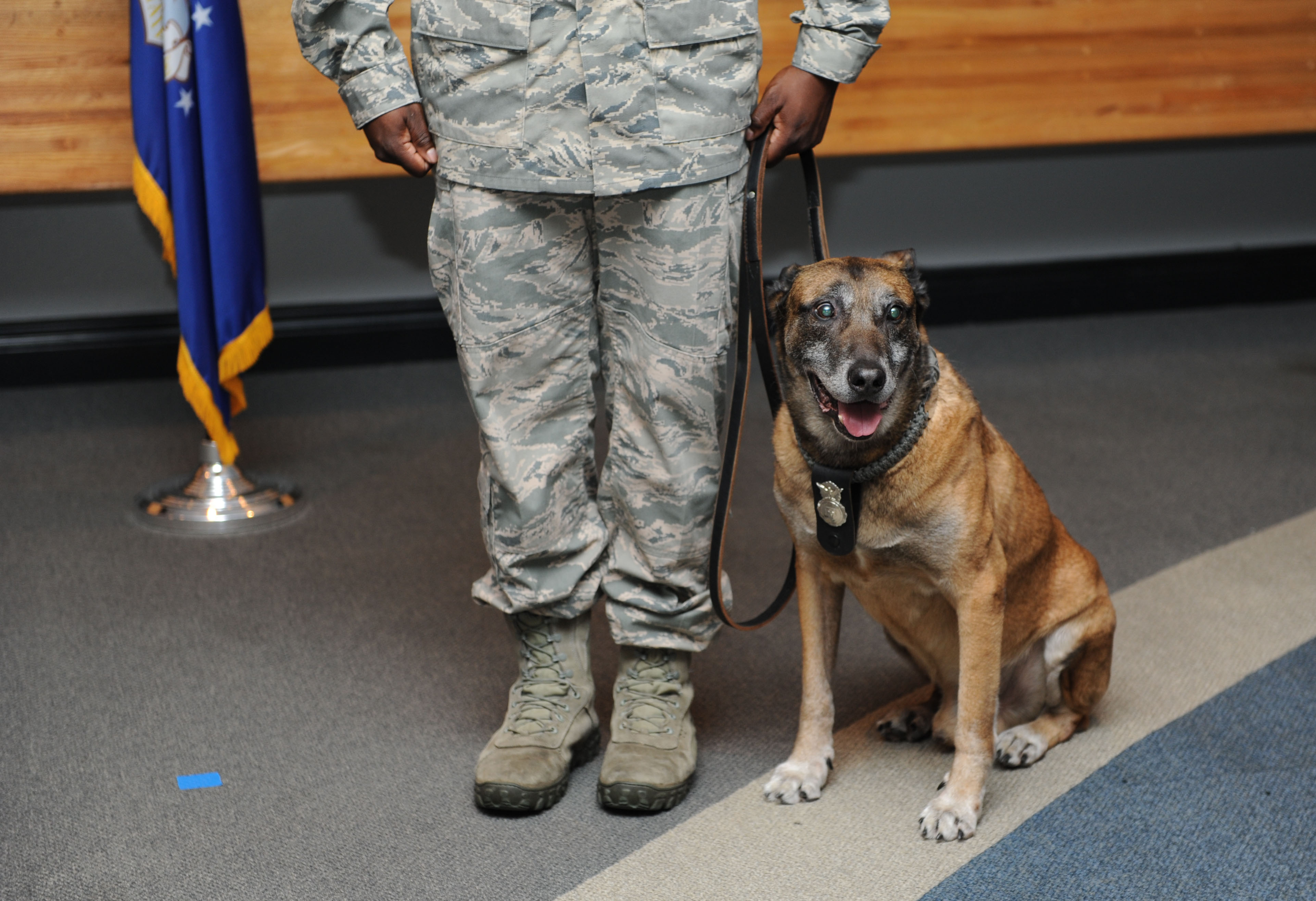 Retirement ceremony honors military working dog